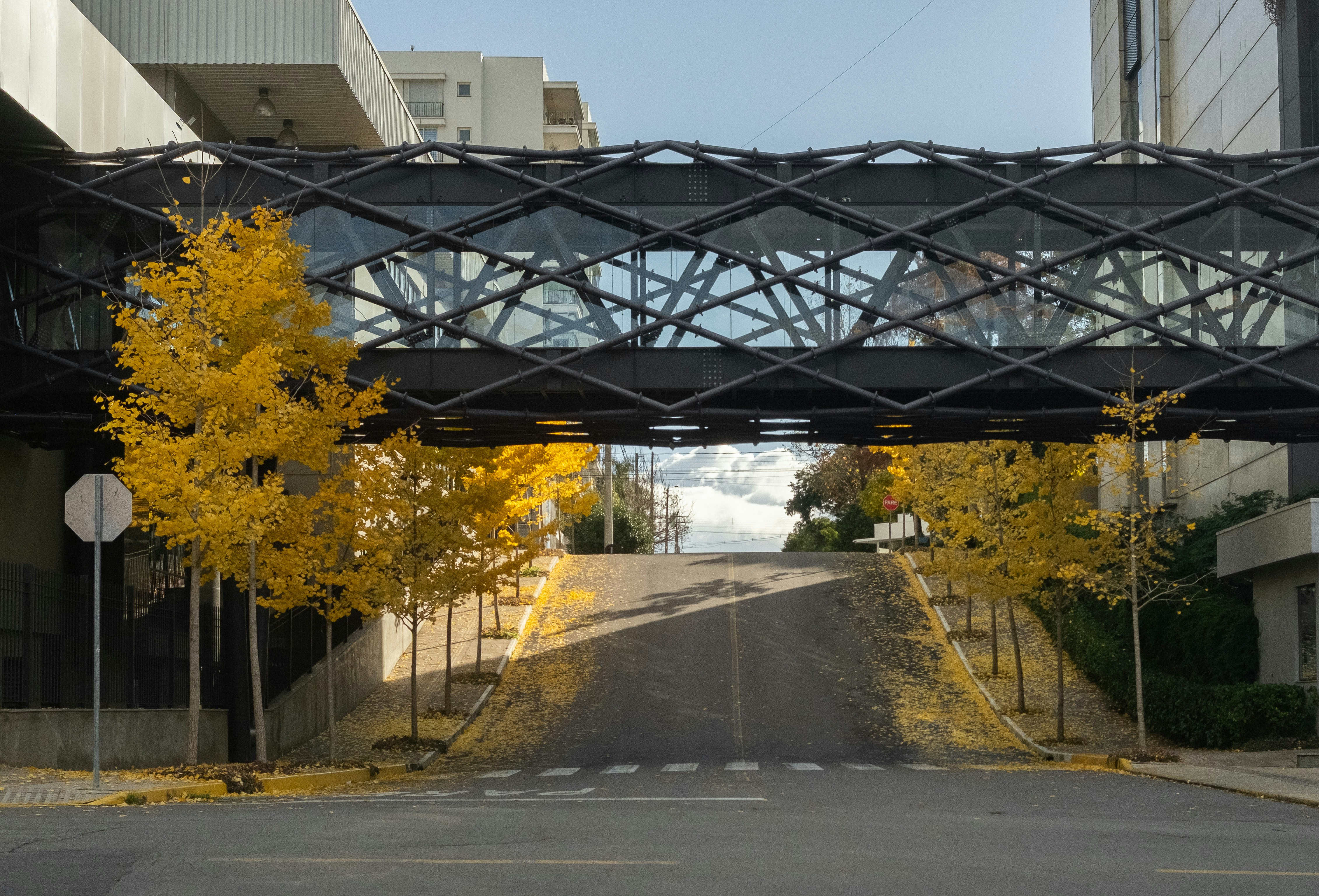 Bridge Corridor in Autumn Light