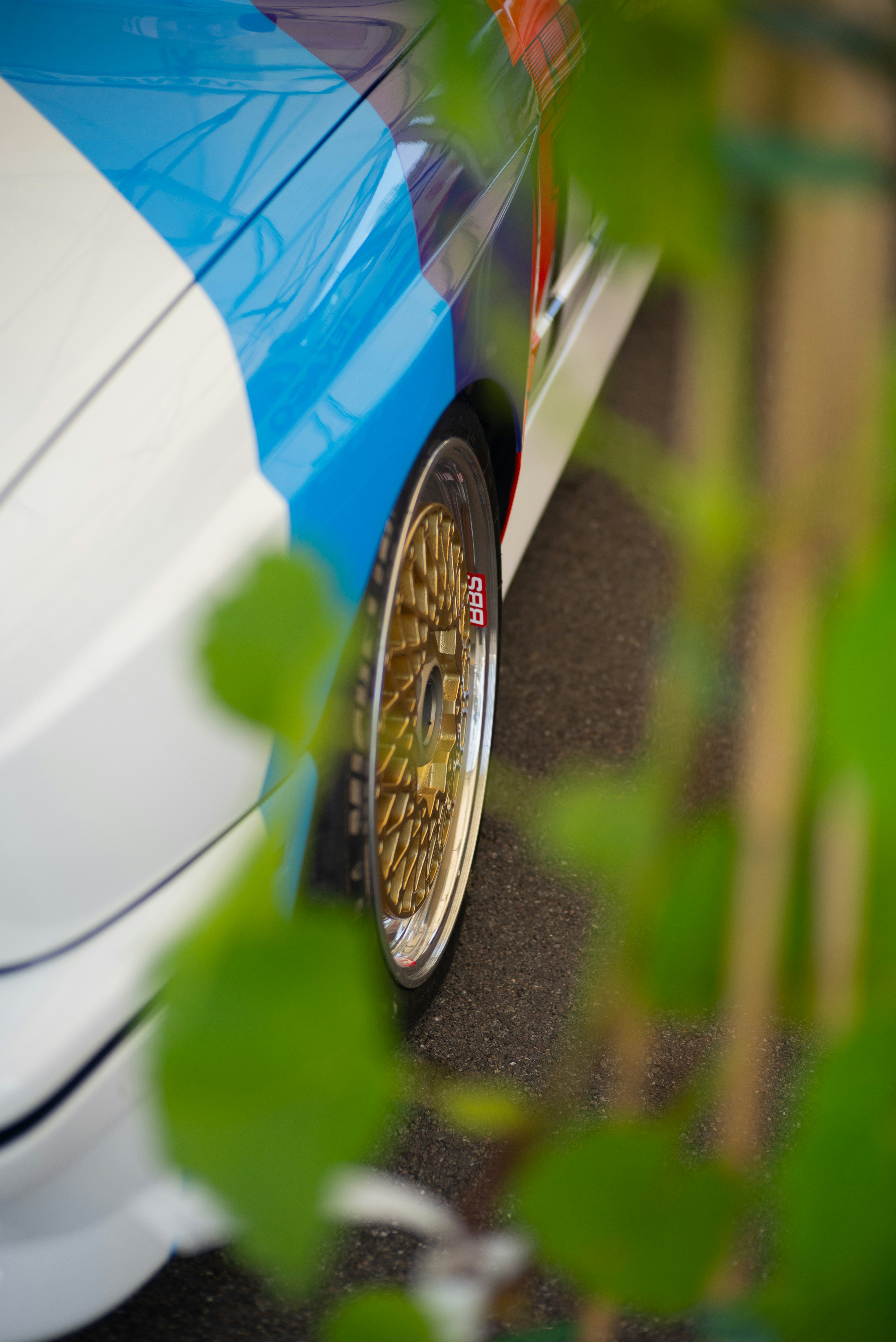 Blue and white coupe with gold mesh wheel under green leaves