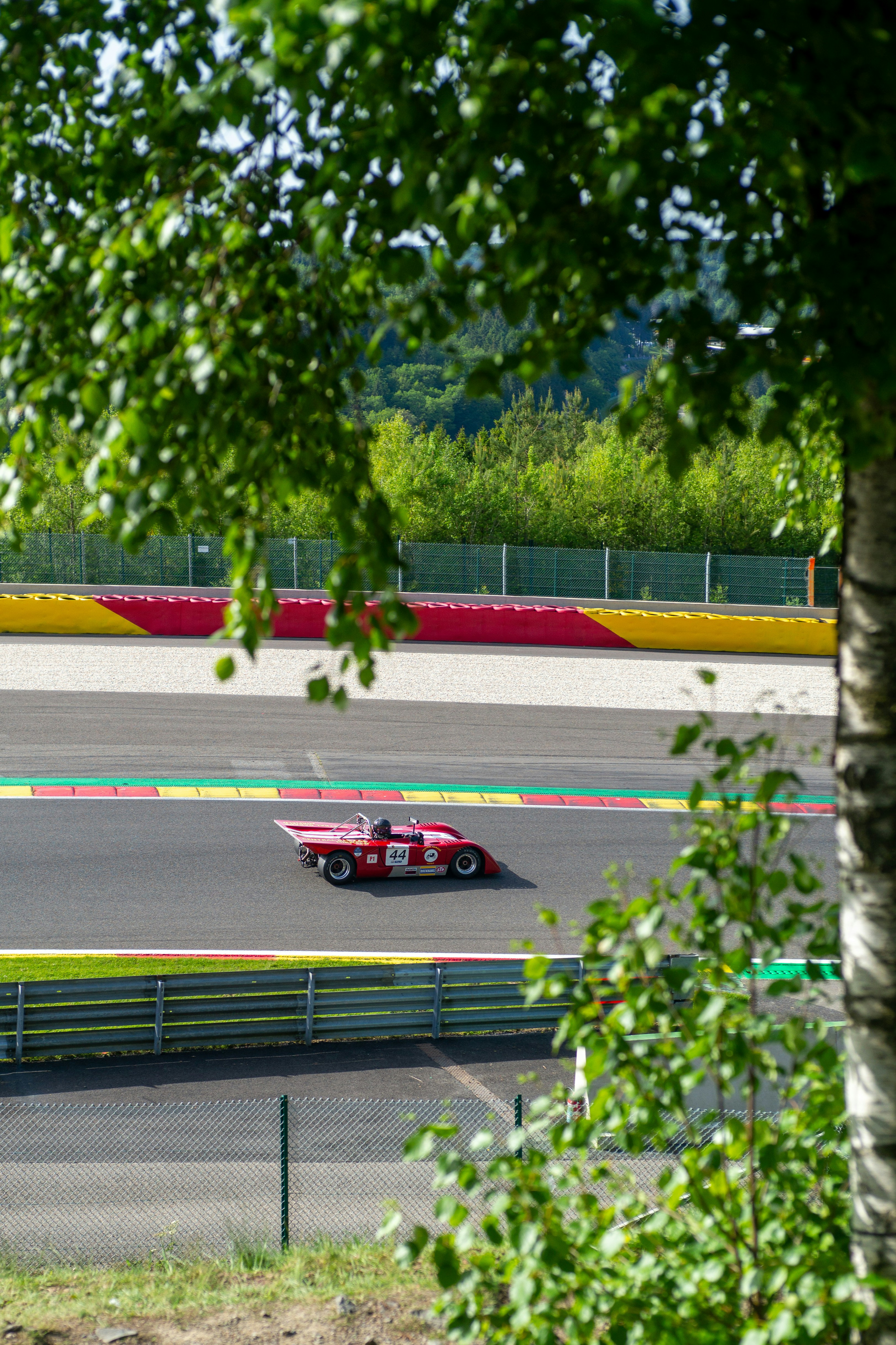 Red Vintage Racer Slices Through the Track Framed by Verdant Veil