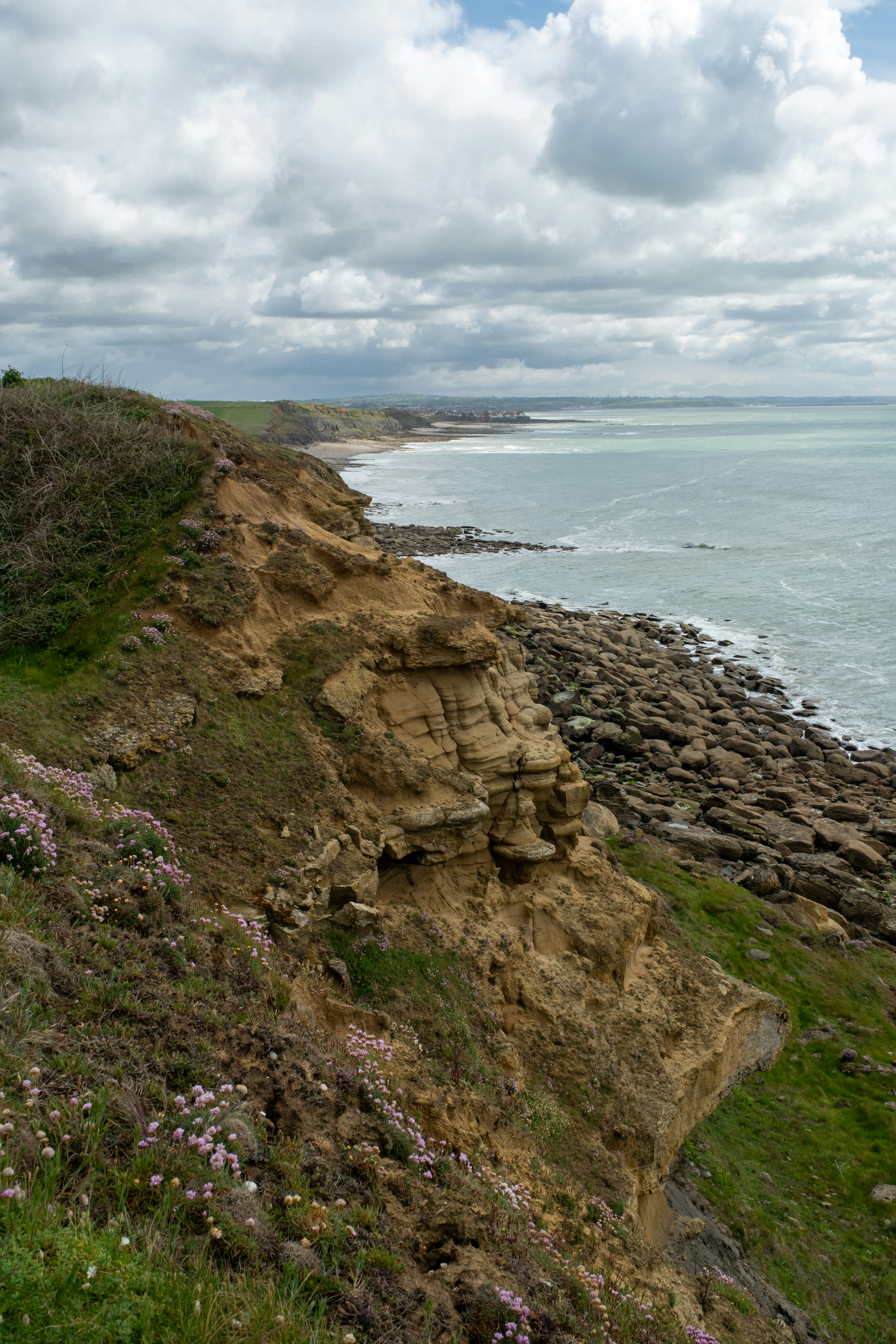 Cliffside Lace: Erosion Steps Along a Coastal Edge