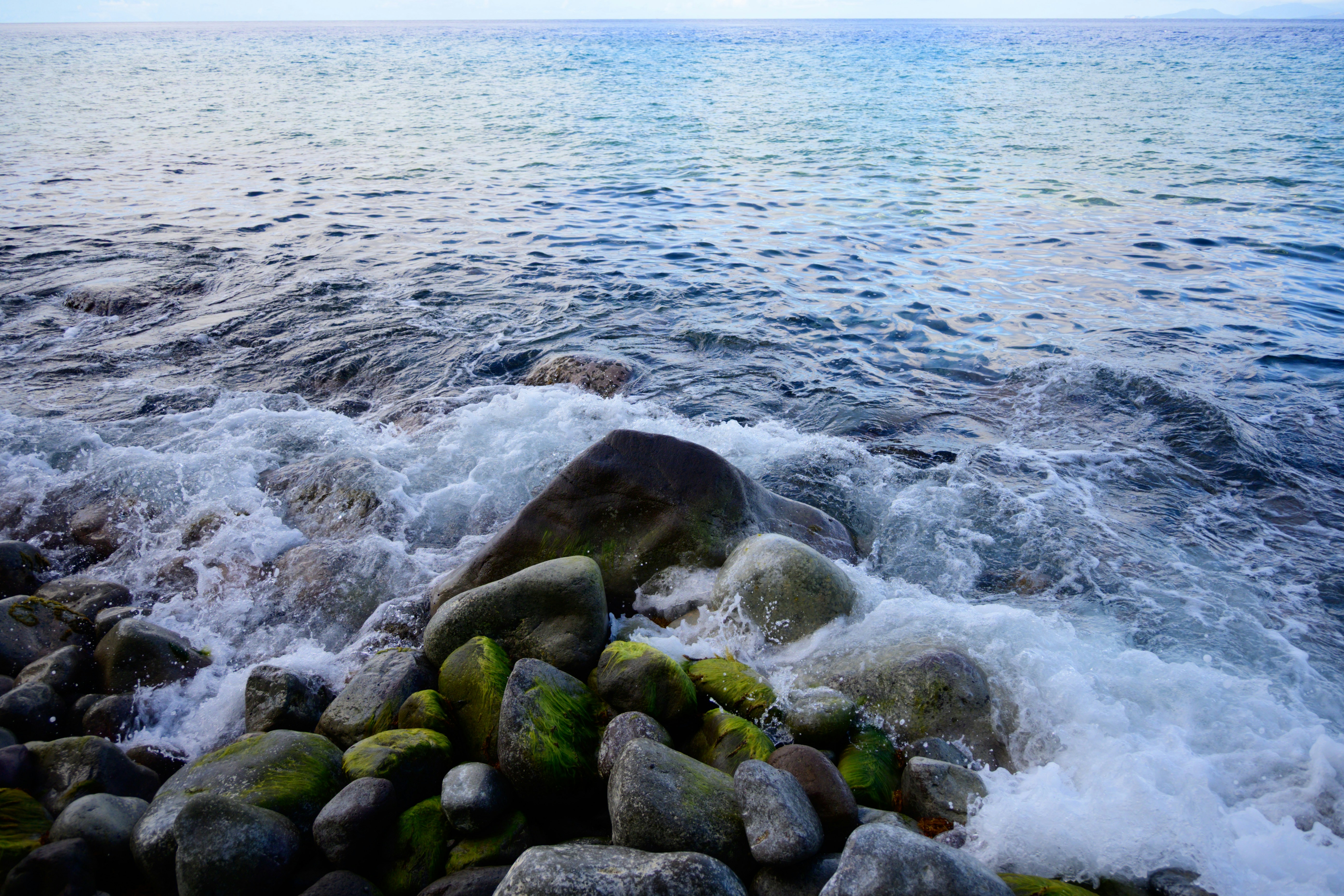 Rugged Shoreline: Mossy Stones Meet Tiding Whispers