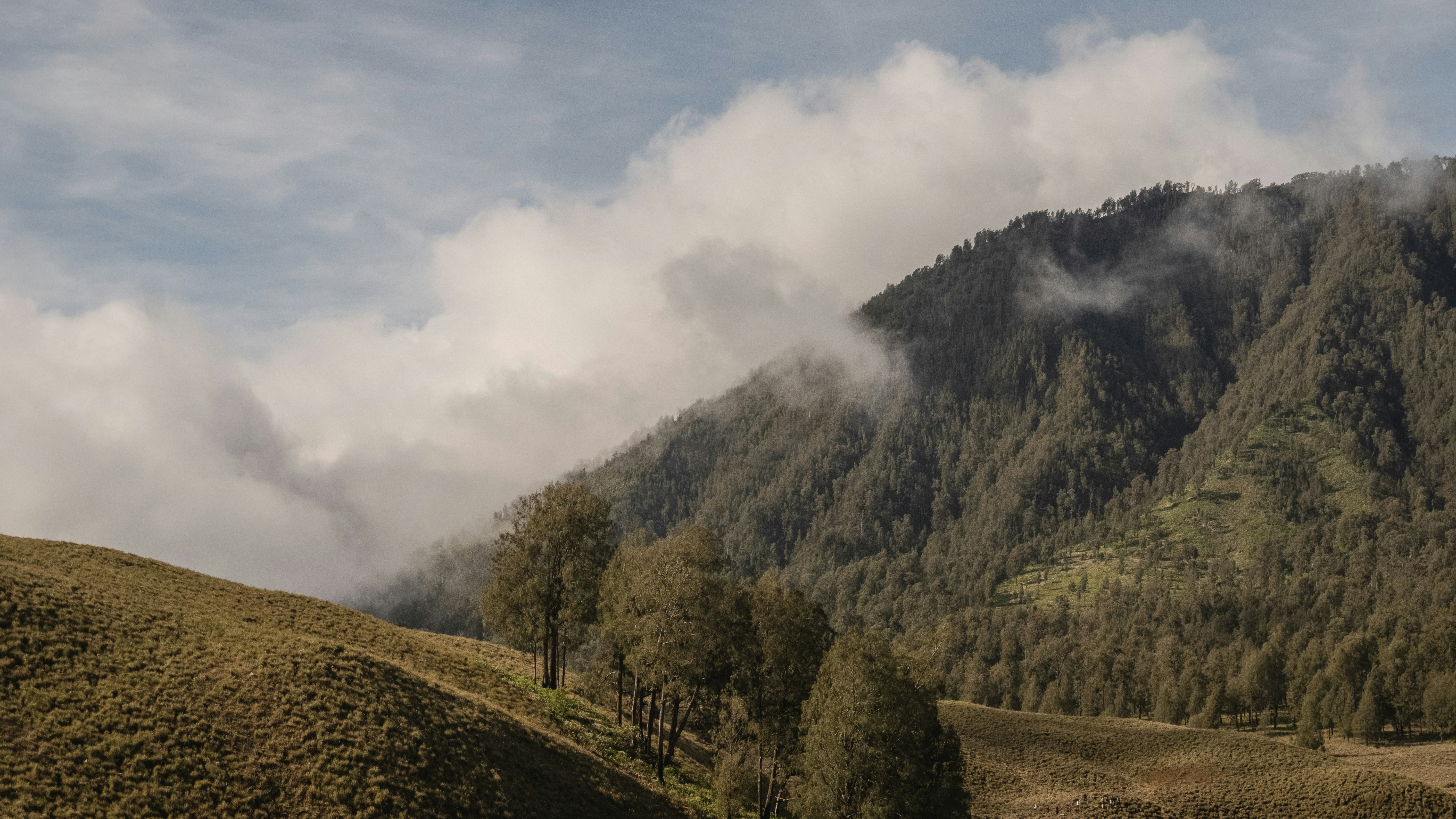 Mount Semeru, captured from Oro-Oro Ombo Savana.