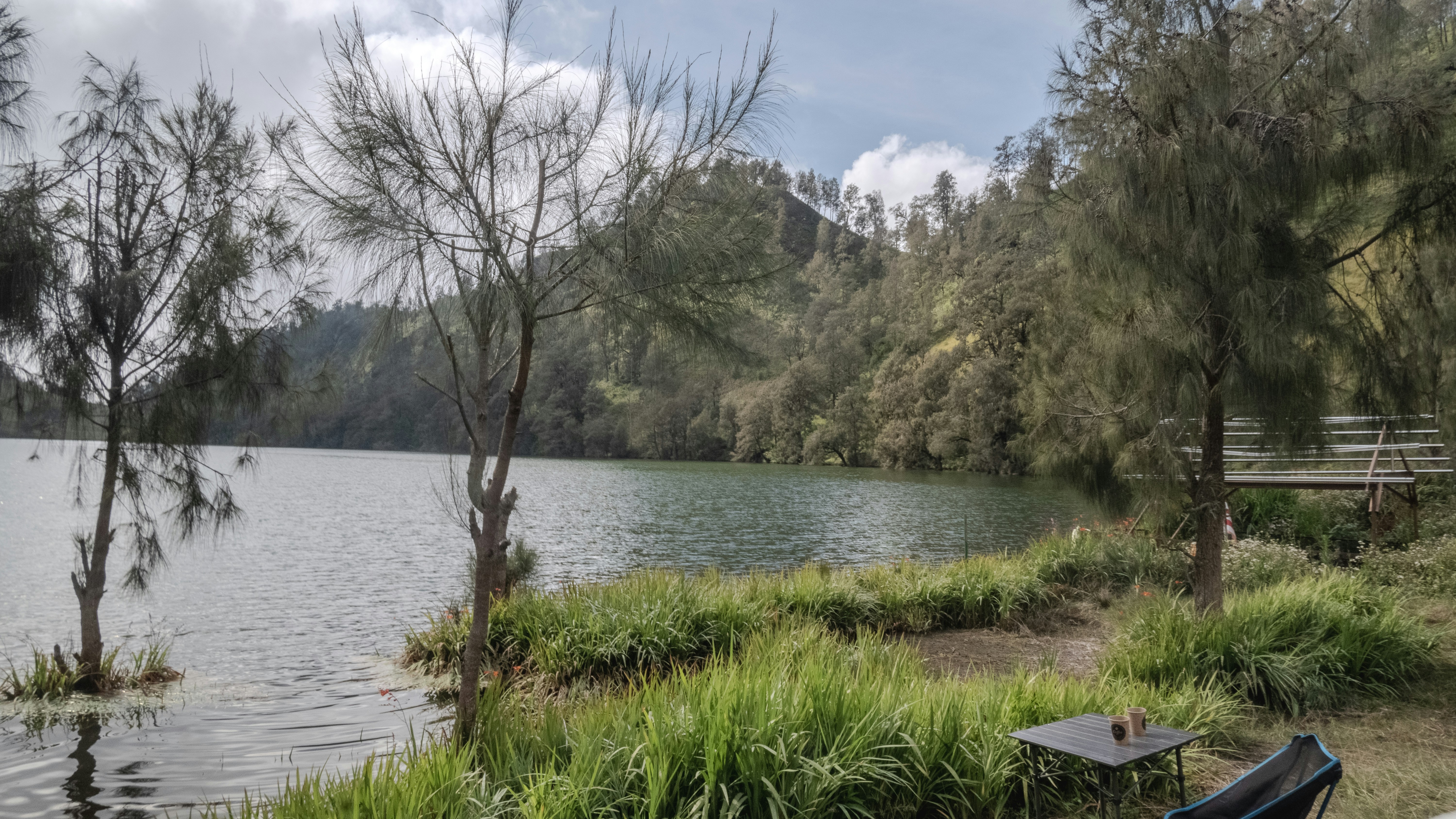 Lakeside Quiet: Trees, Bench, and Distant Hills