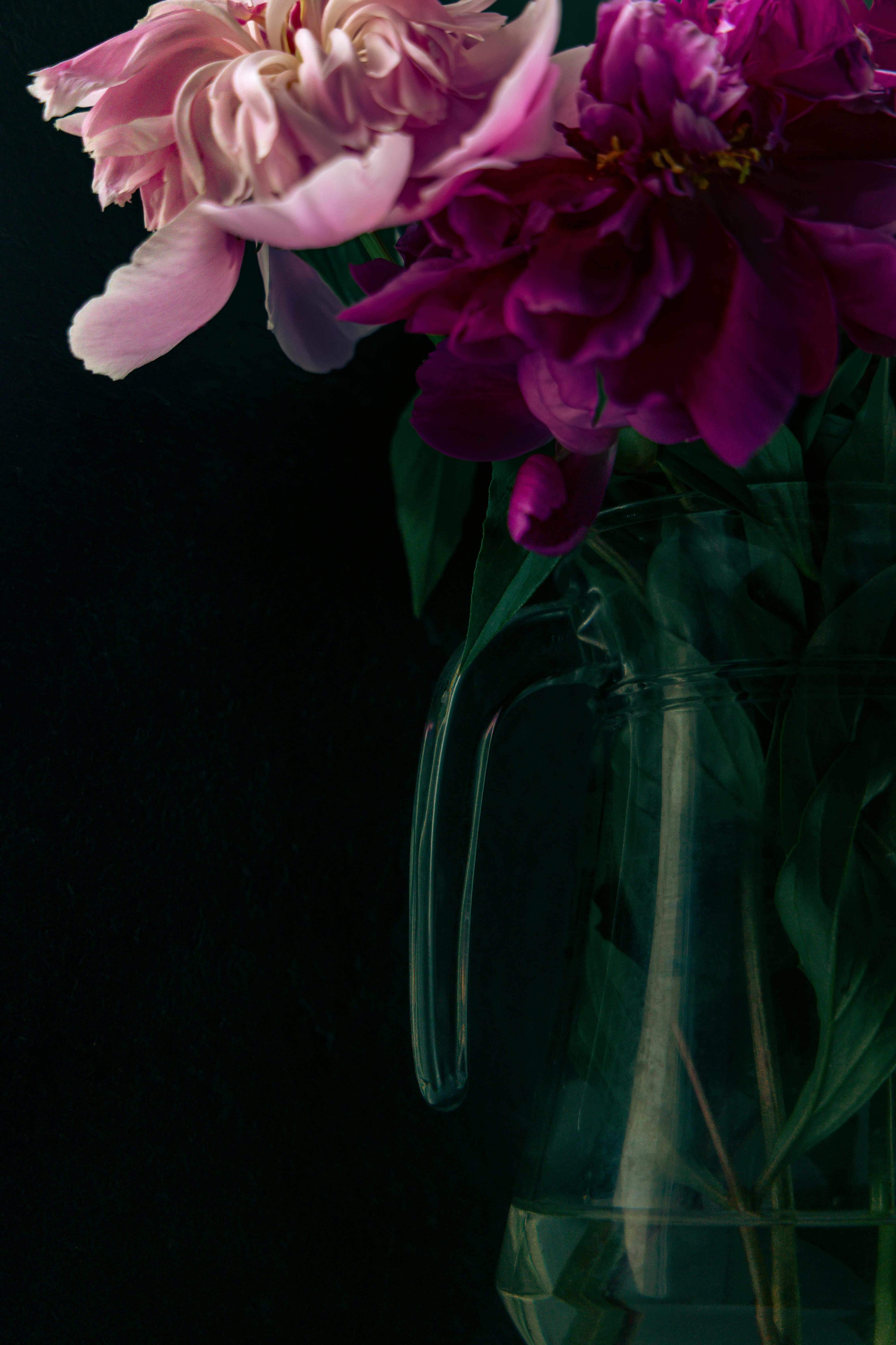 Peony Bouquet in a Glass Jug Against Night Velvet
