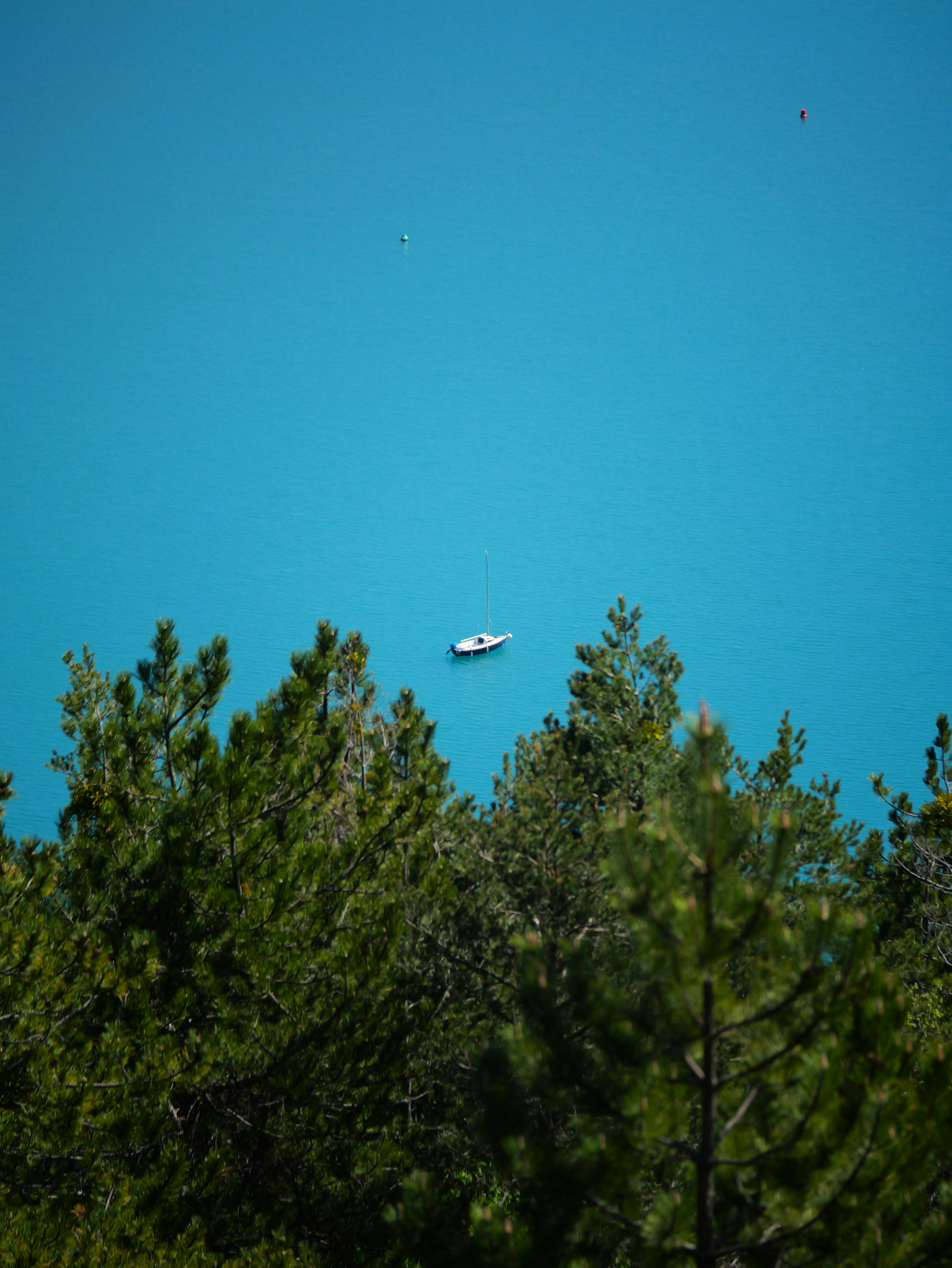 Azure Stillness: A Sailboat Hushed by Pines Over a Serene Lake
