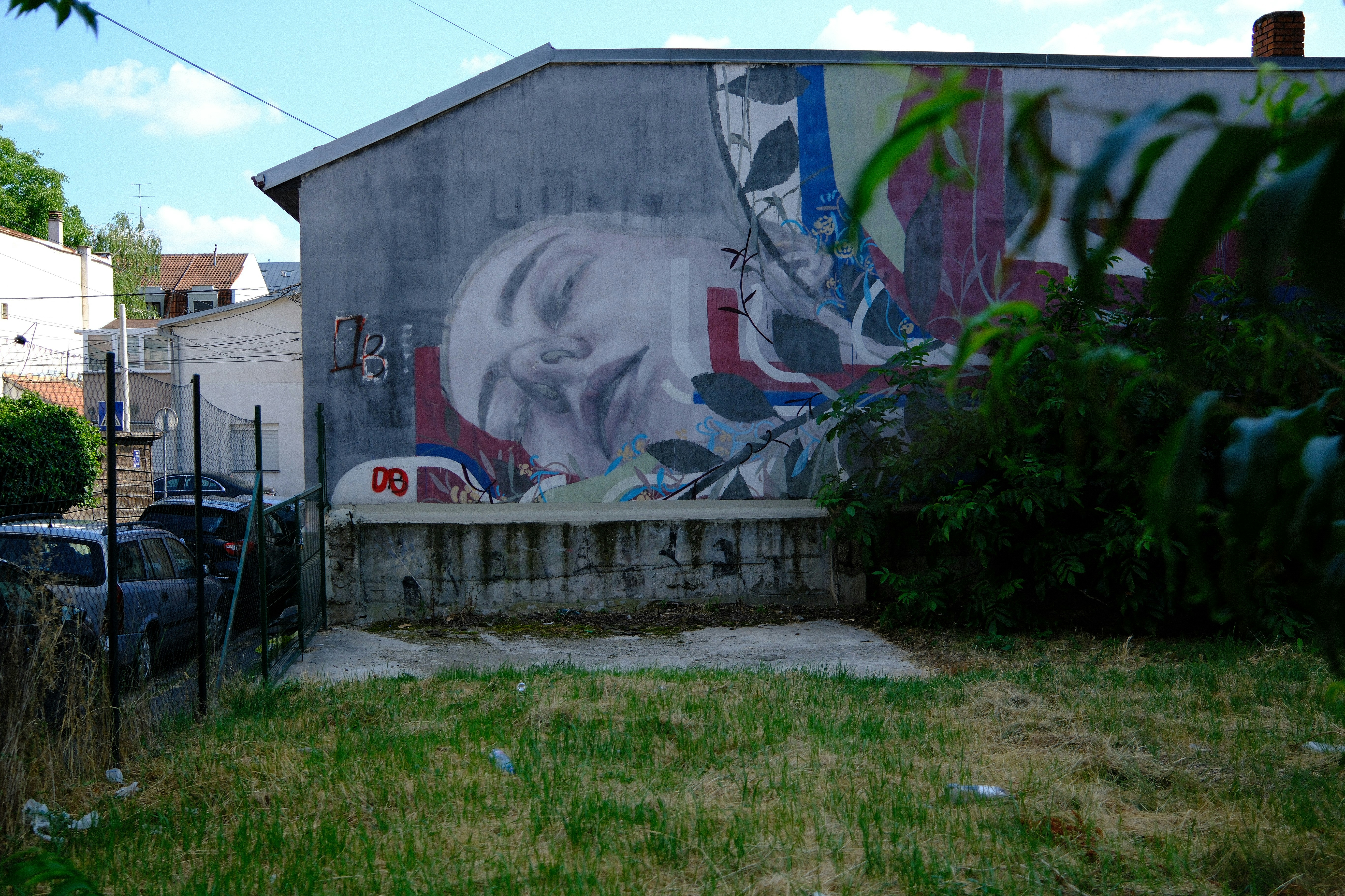Mural Portrait Emerges from Back Alley Graffiti