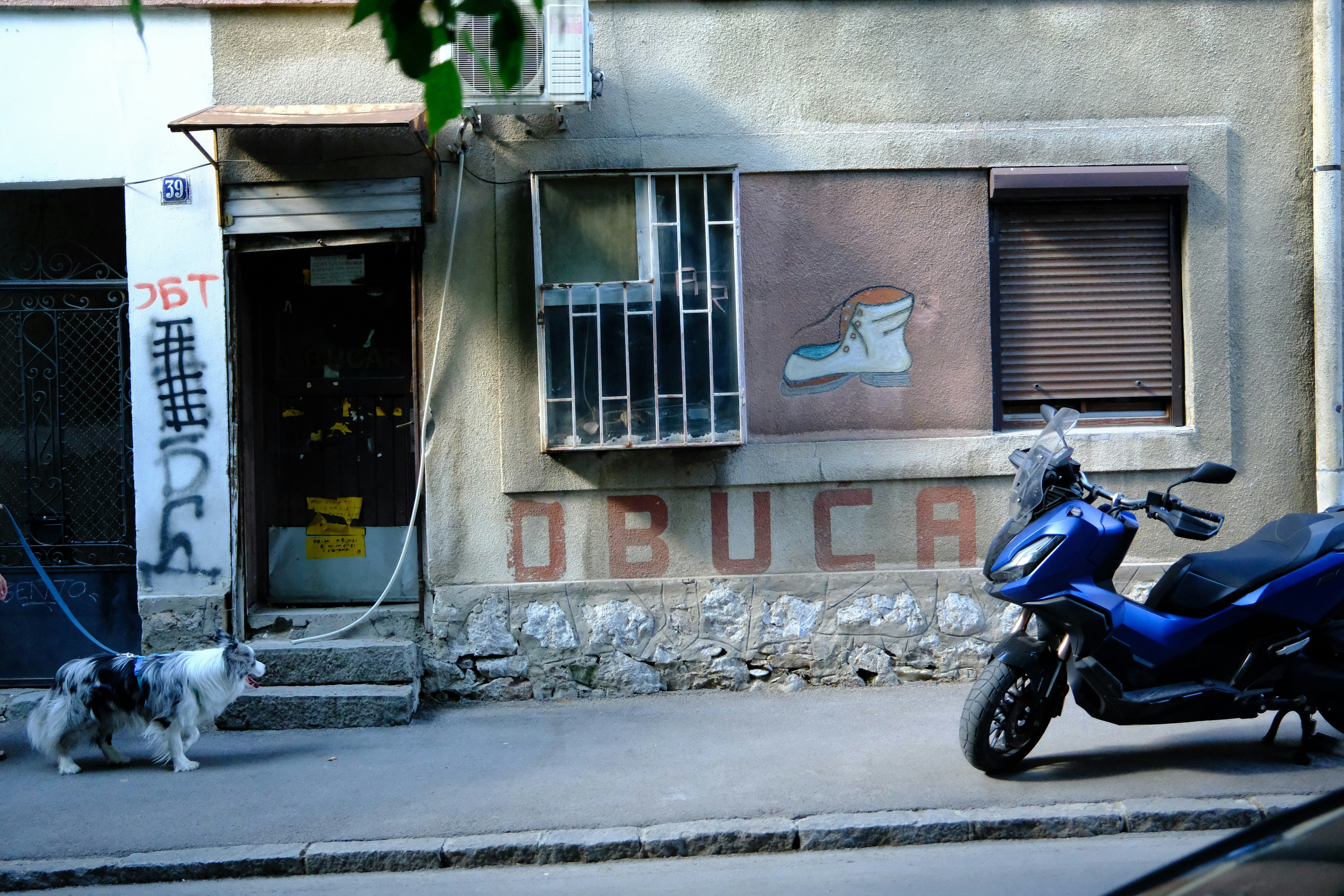 Blue motorcycle beside a textured urban façade with a wandering dog
