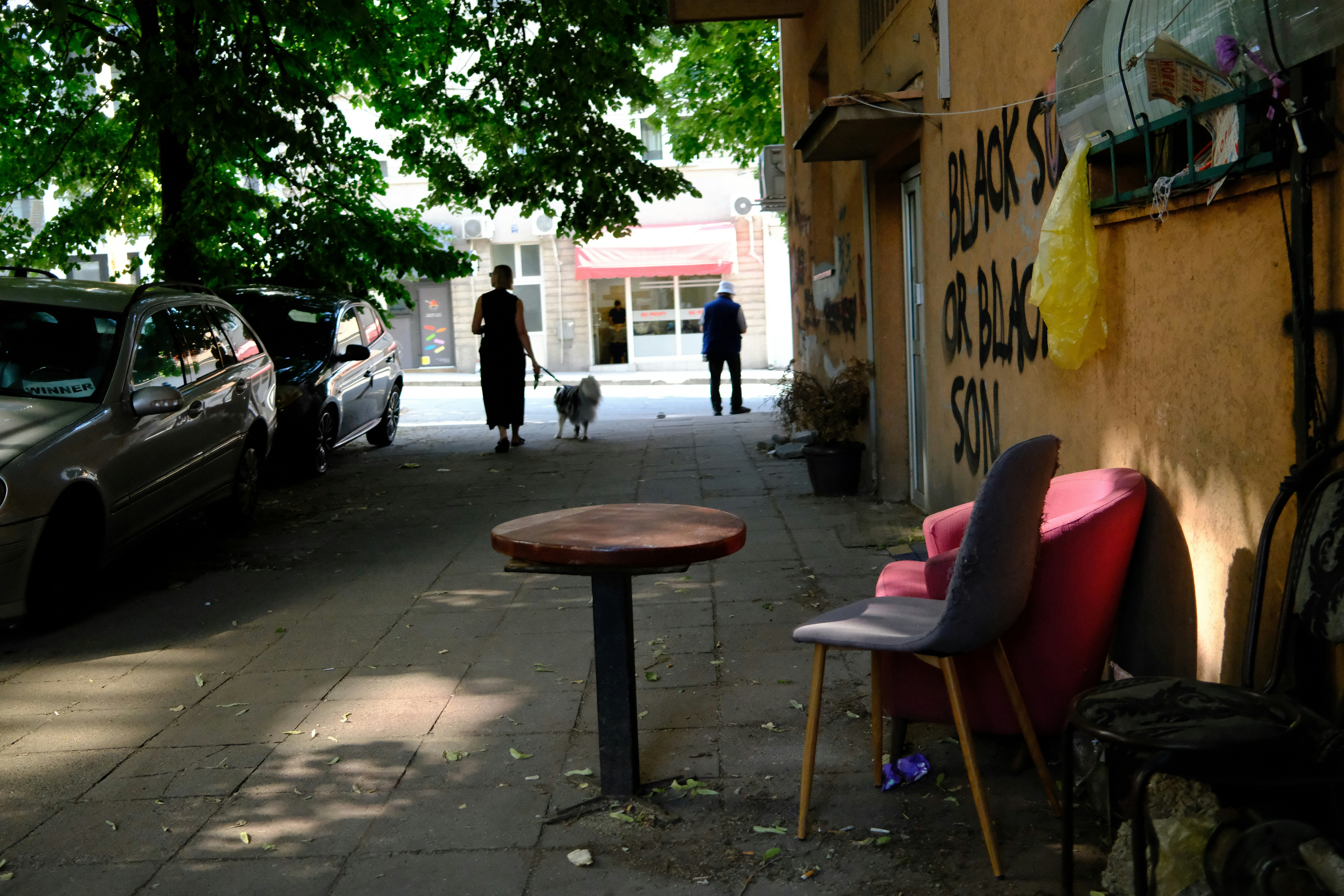 Quiet Street Portrait: A Ring of Shadows under a Tree