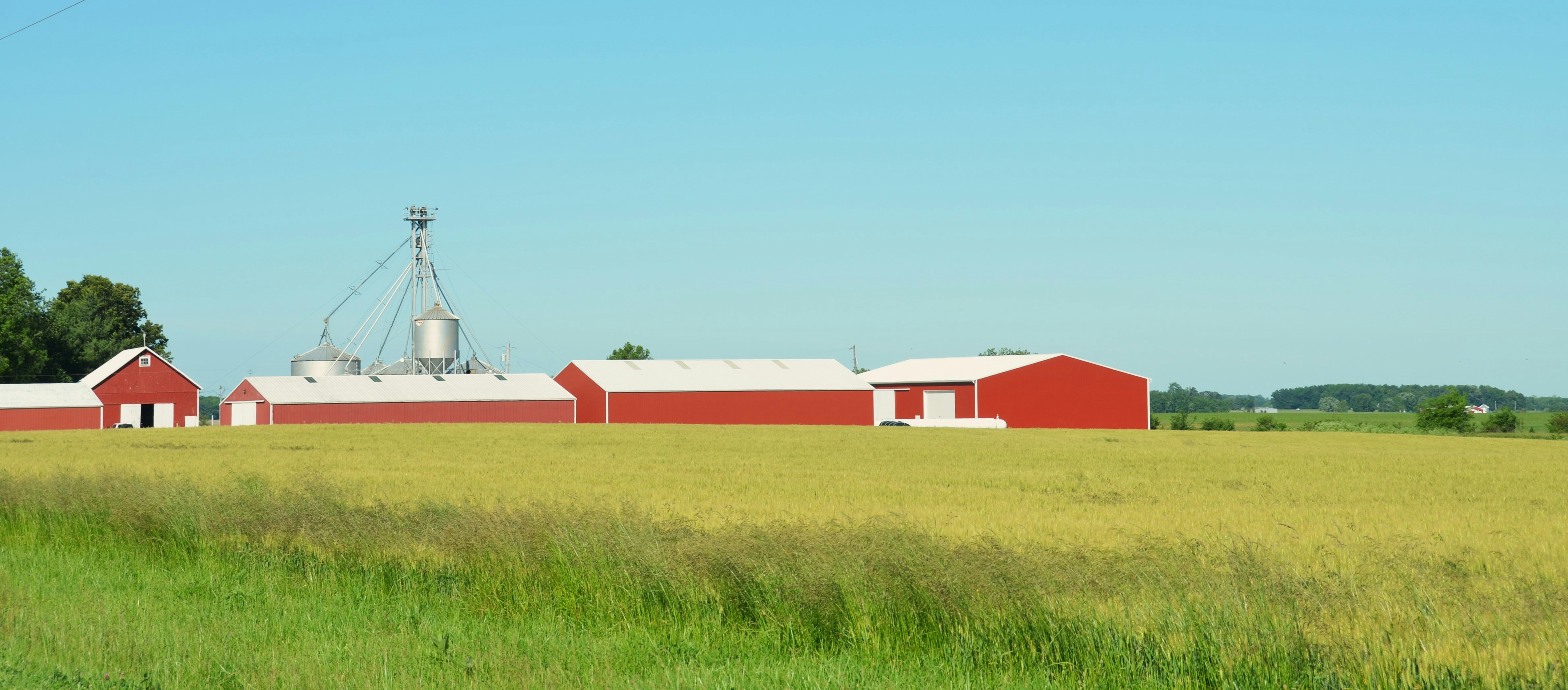Red Barns and Grain Field Under Expansive Prairie Sky