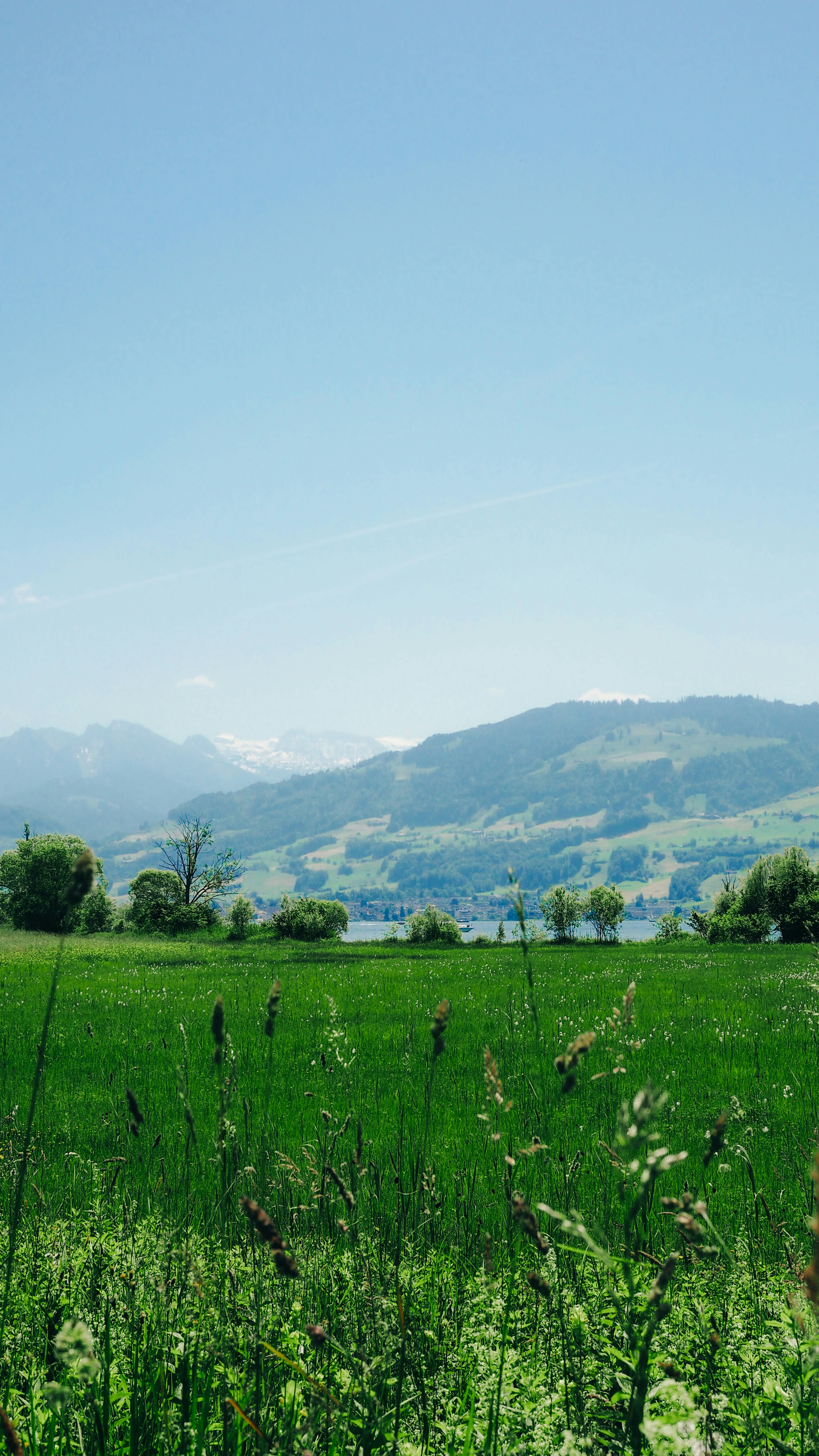 A stunning alpine landscape near Zurich showcases emerald-green fields stretching toward majestic mountain ranges. The grass glows under soft sunlight while dramatic peaks rise above the horizon, creating a scene of pure natural harmony. Every detail feels crisp and alive, from the rolling hills to the distant rocky summits. The atmosphere is calm yet inspiring, blending adventure with tranquility. This picturesque Swiss countryside captures the essence of outdoor exploration, sustainable travel, and breathtaking scenery. It is the kind of place where nature takes center stage and every glance