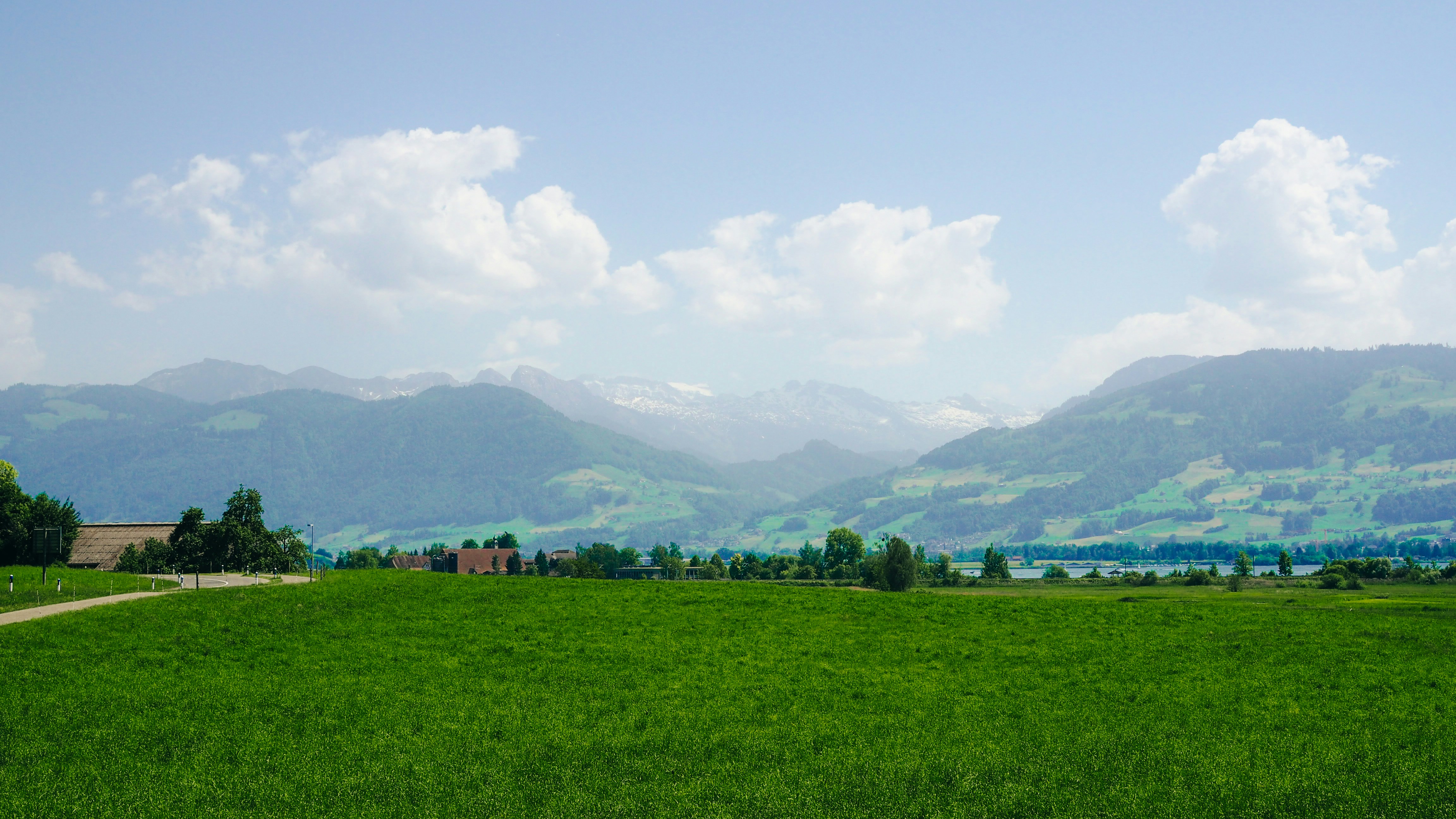 Emerald Fields Beneath a Velvet Sky