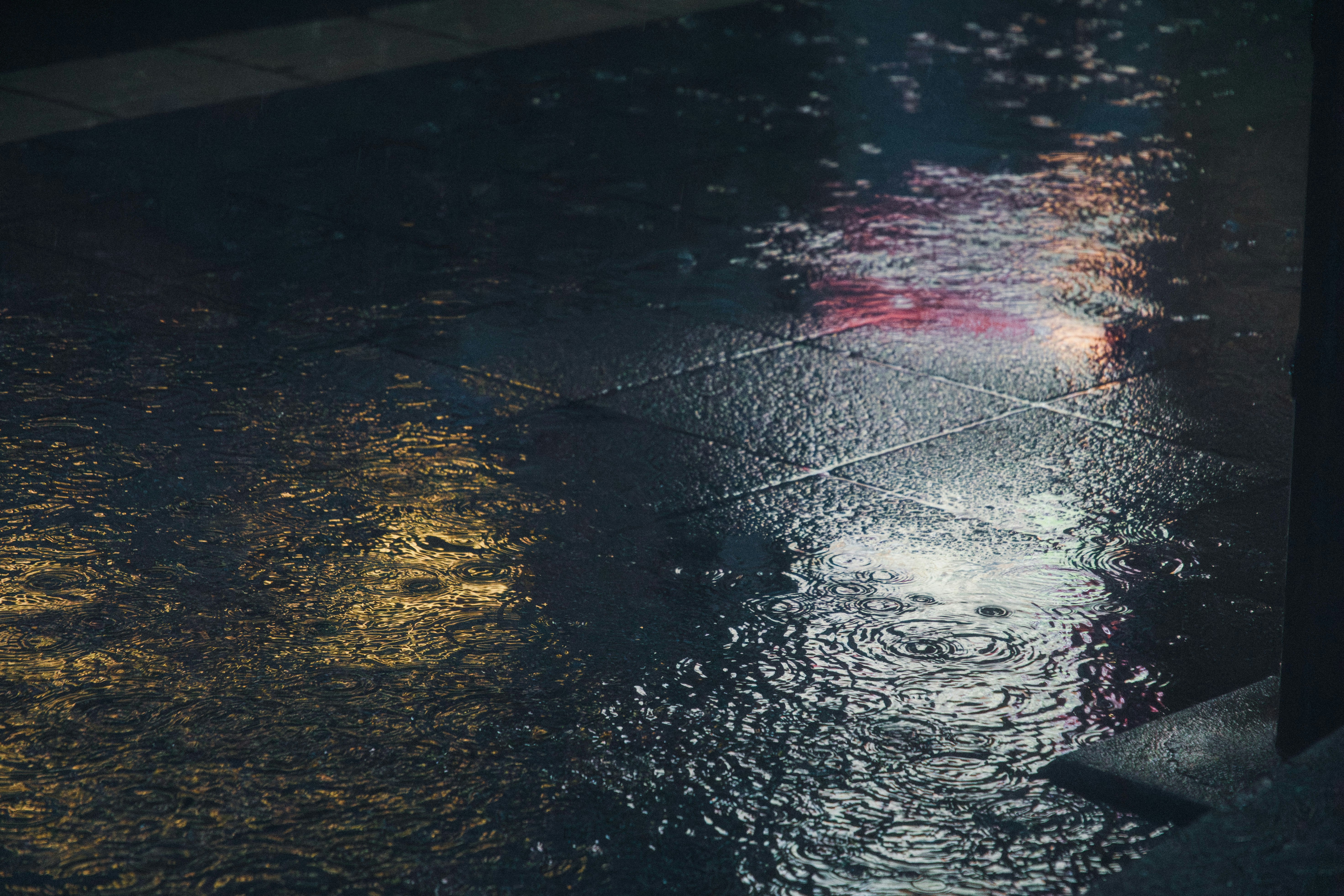 Rain-kissed Neon Reflections on Wet Pavement