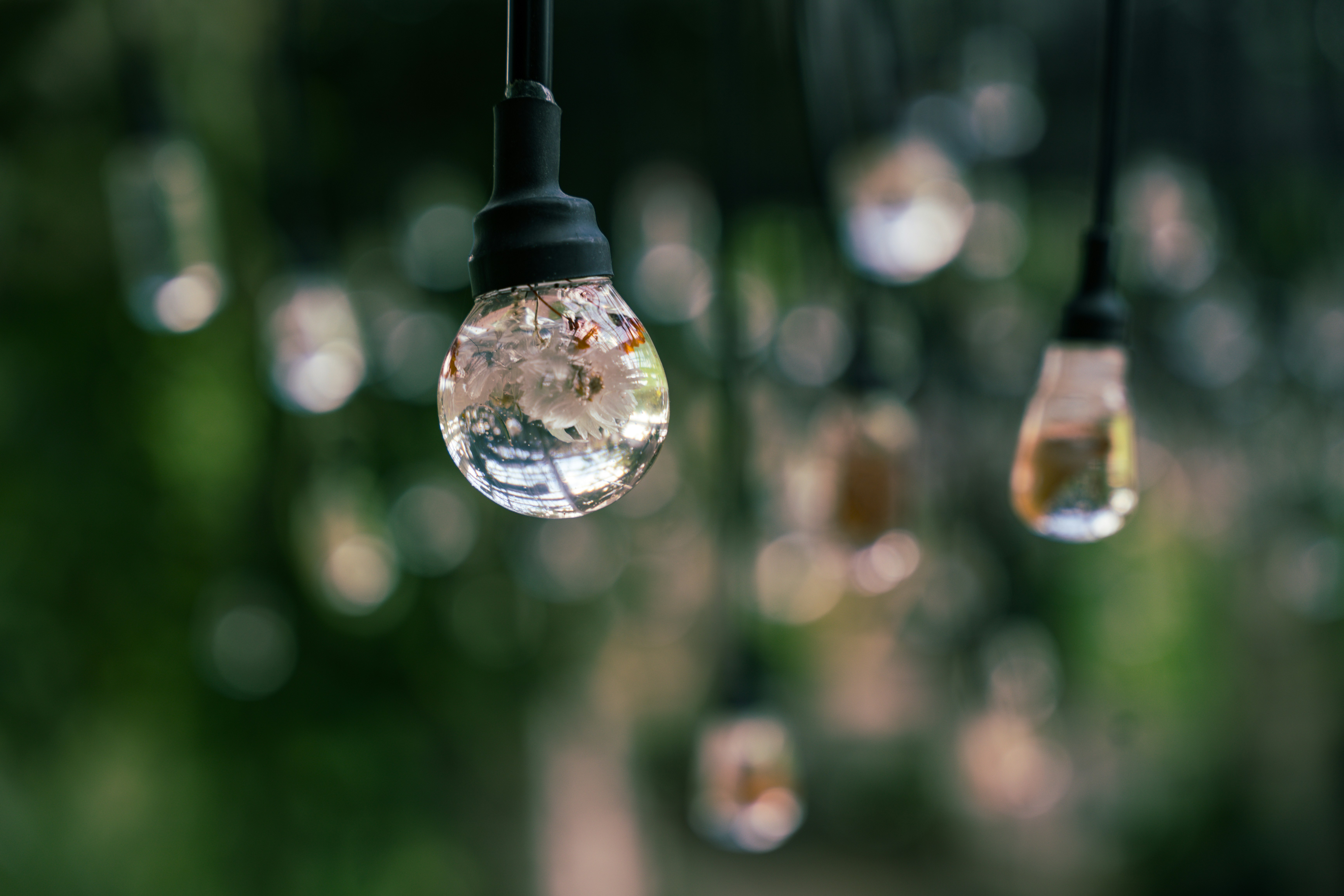 Glowing Orbs in a Quiet Night Garden