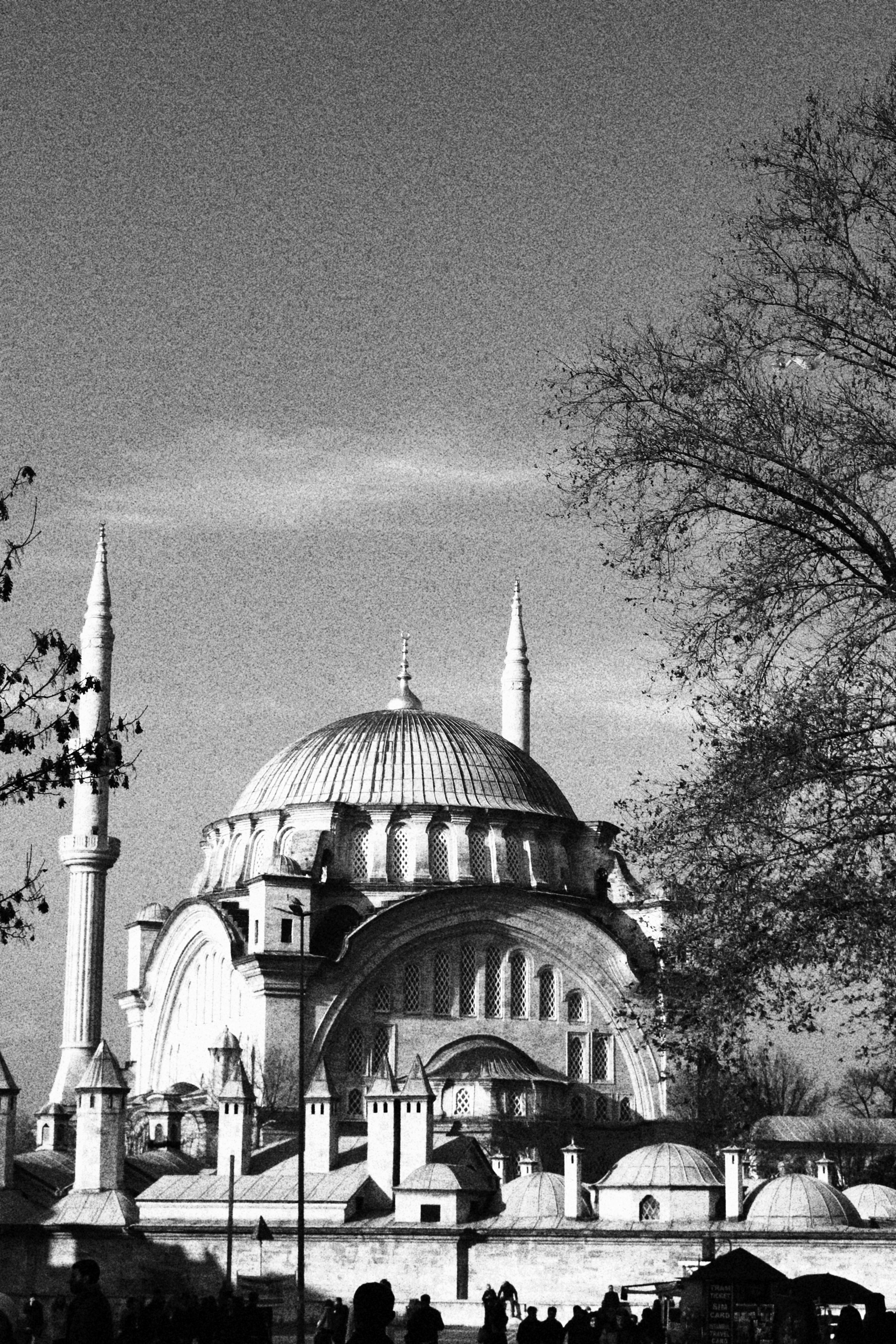 Moonlit Mosque: Silhouettes and Domes in Silent City