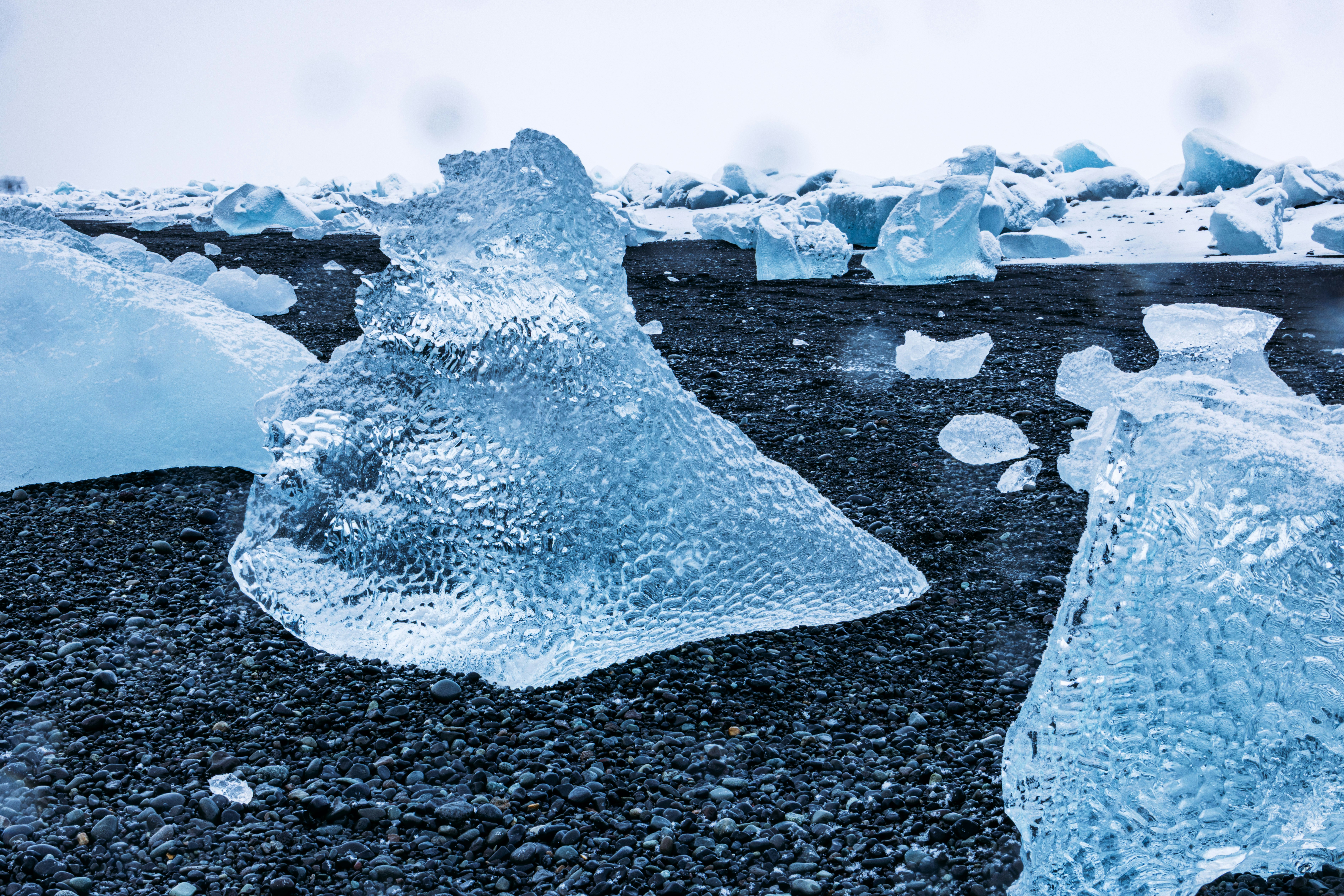 Ice Sculptures on a Desolate Black Beach