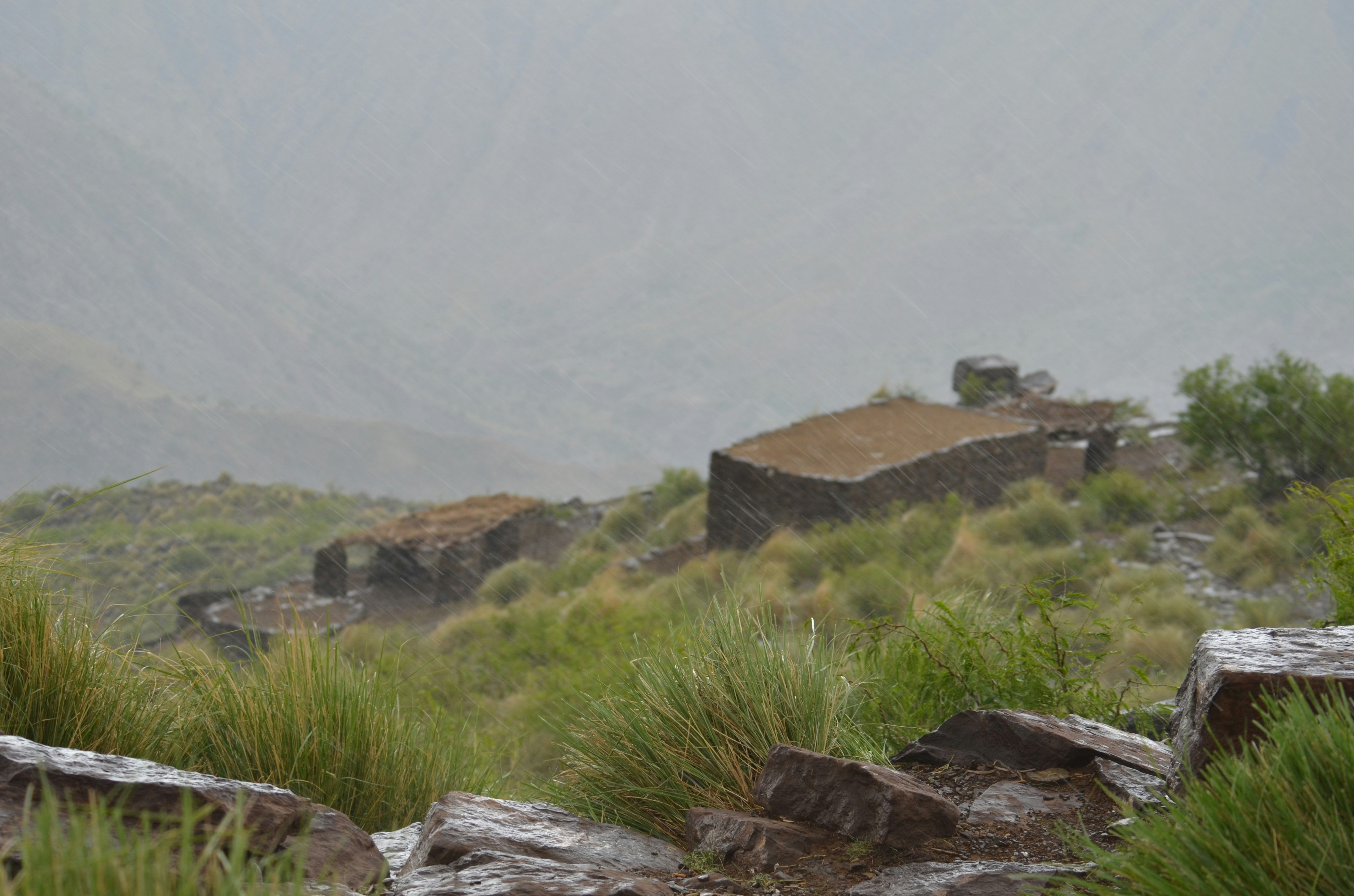 Stone Watch on a Misty Ridge