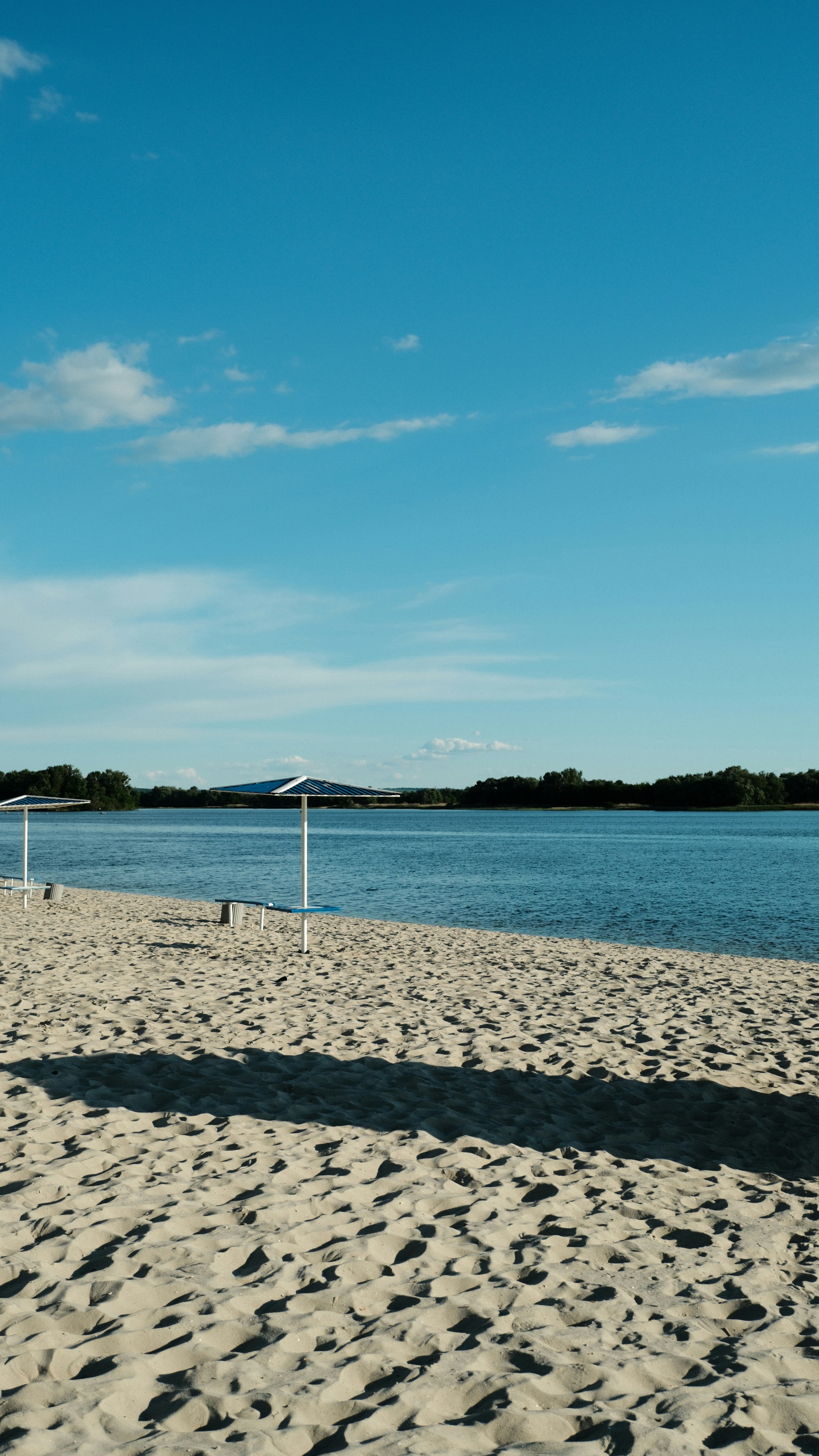 Silhouetted umbrellas and calm shoreline under a clear blue sky
