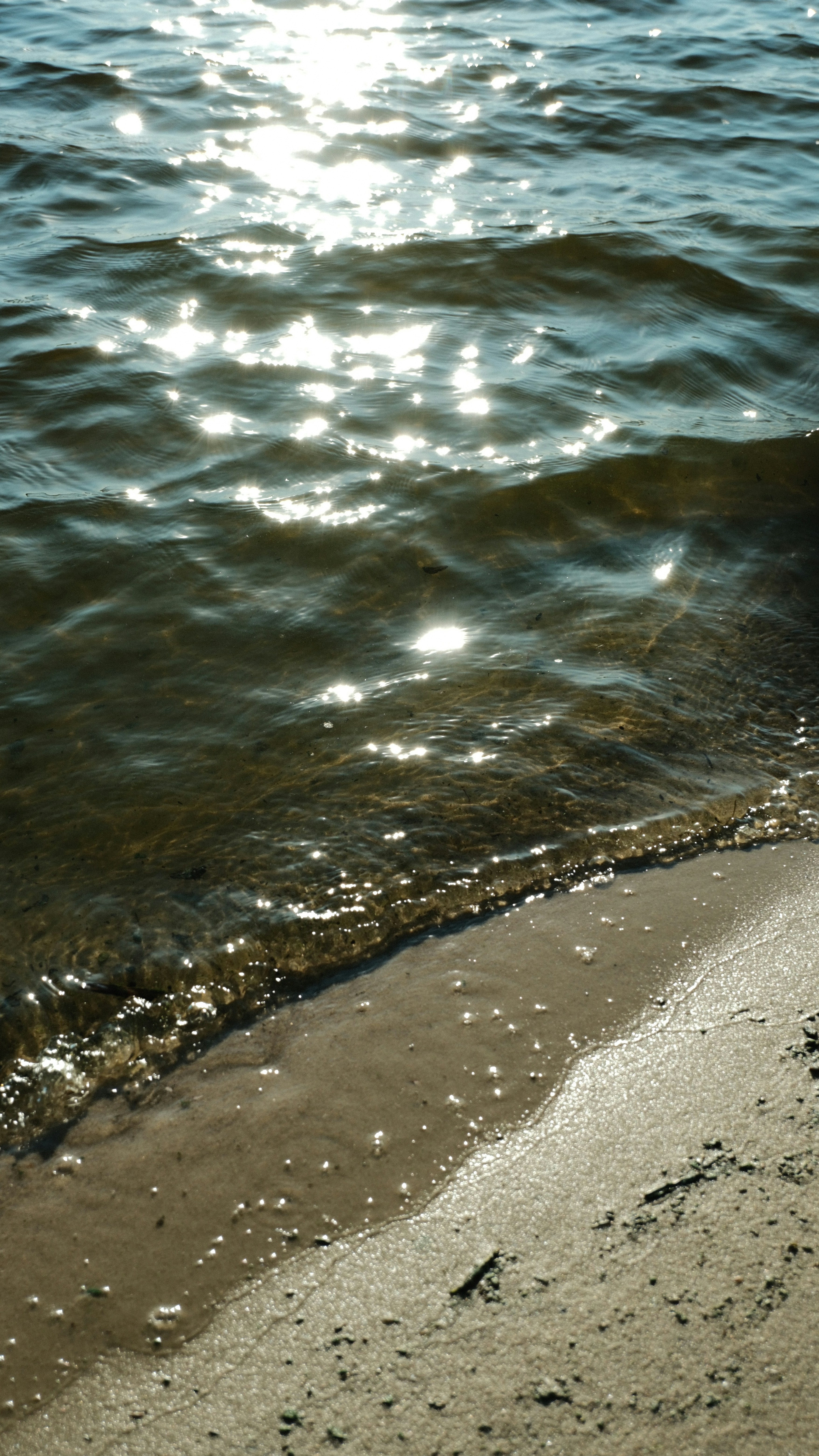 Sunlight sparkles on water meeting a sandy shore.