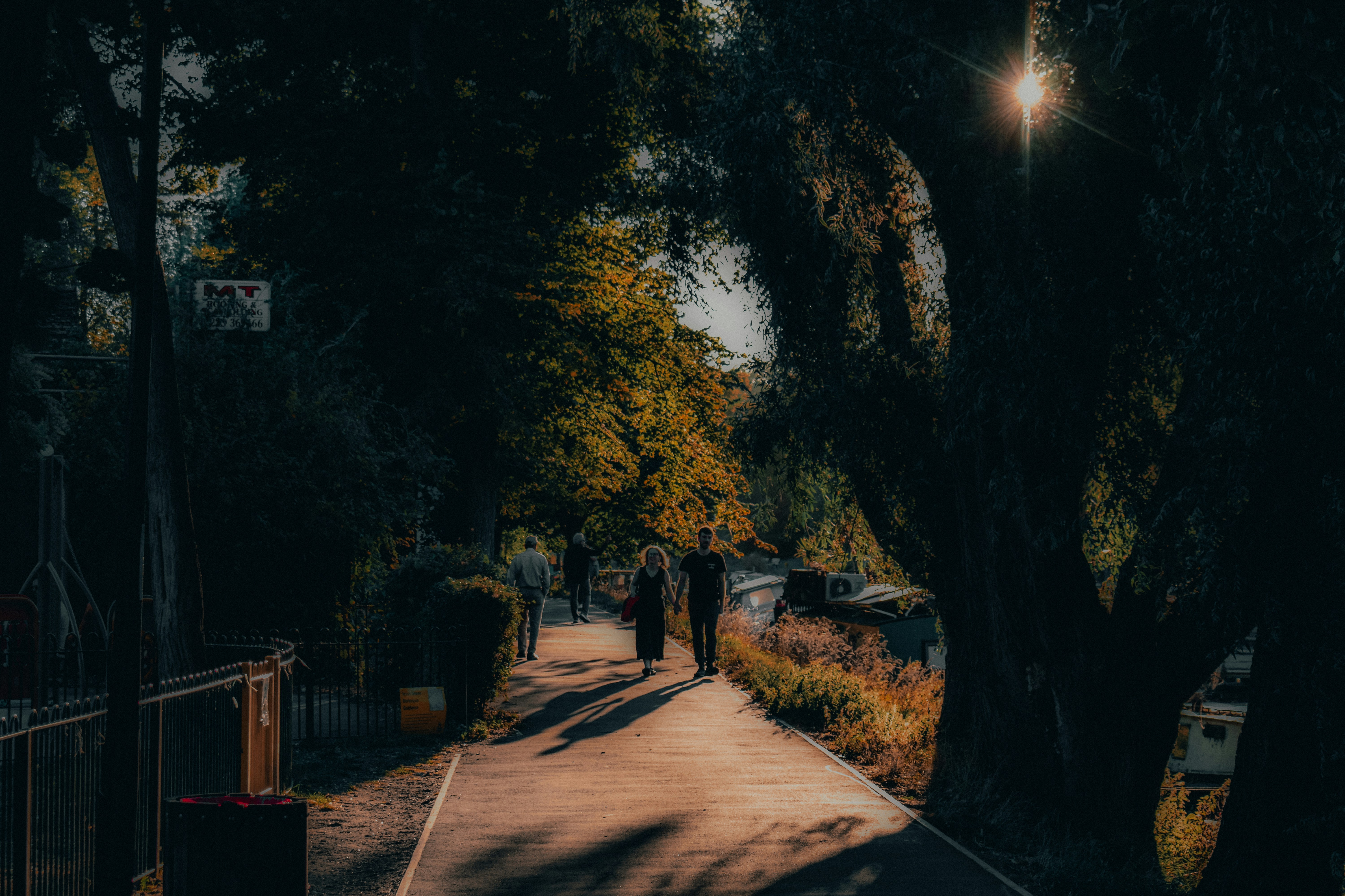Autumn Walk Down a Sunlit Path