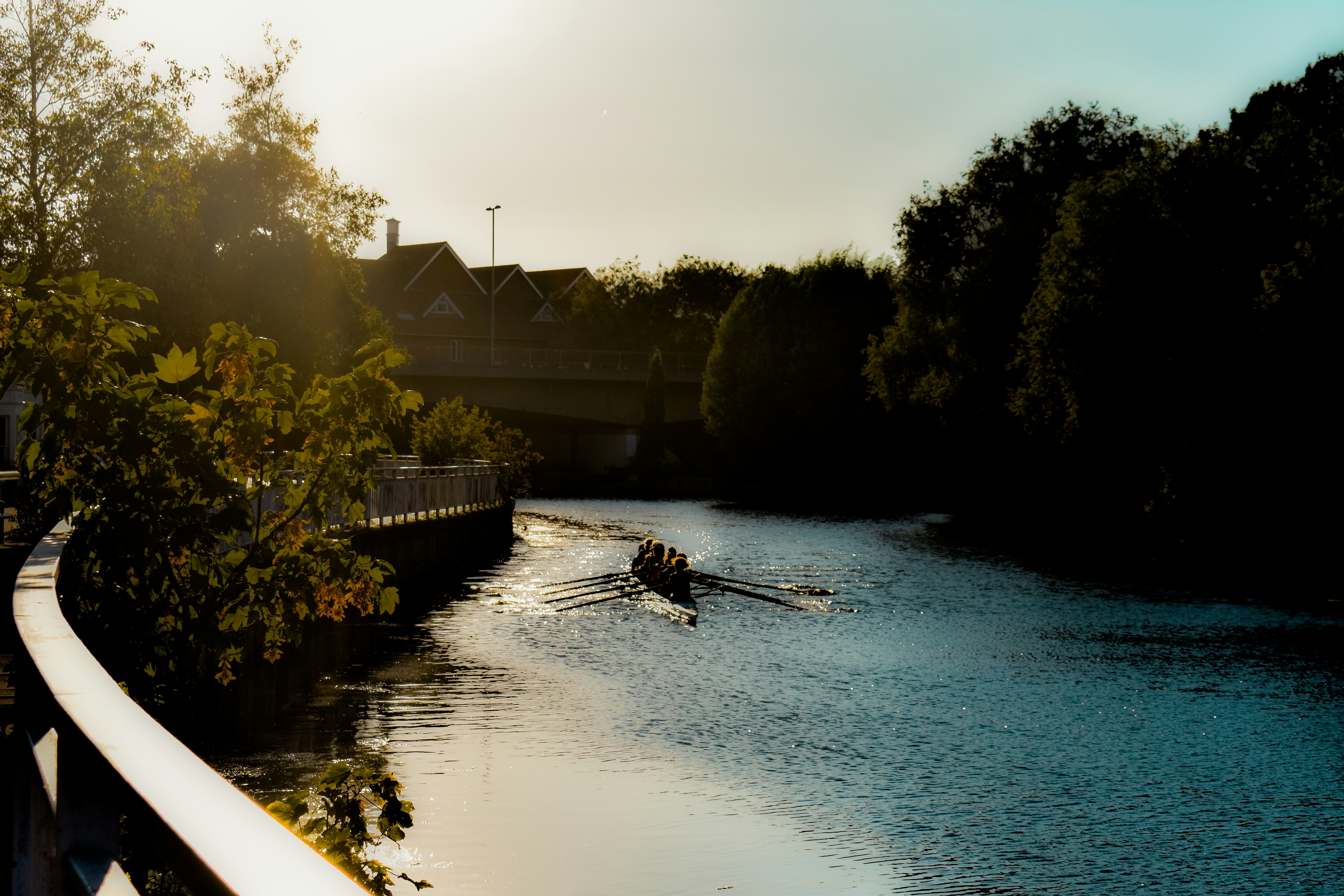 Sunlit Rowers Cut Through a Quiet Riverside