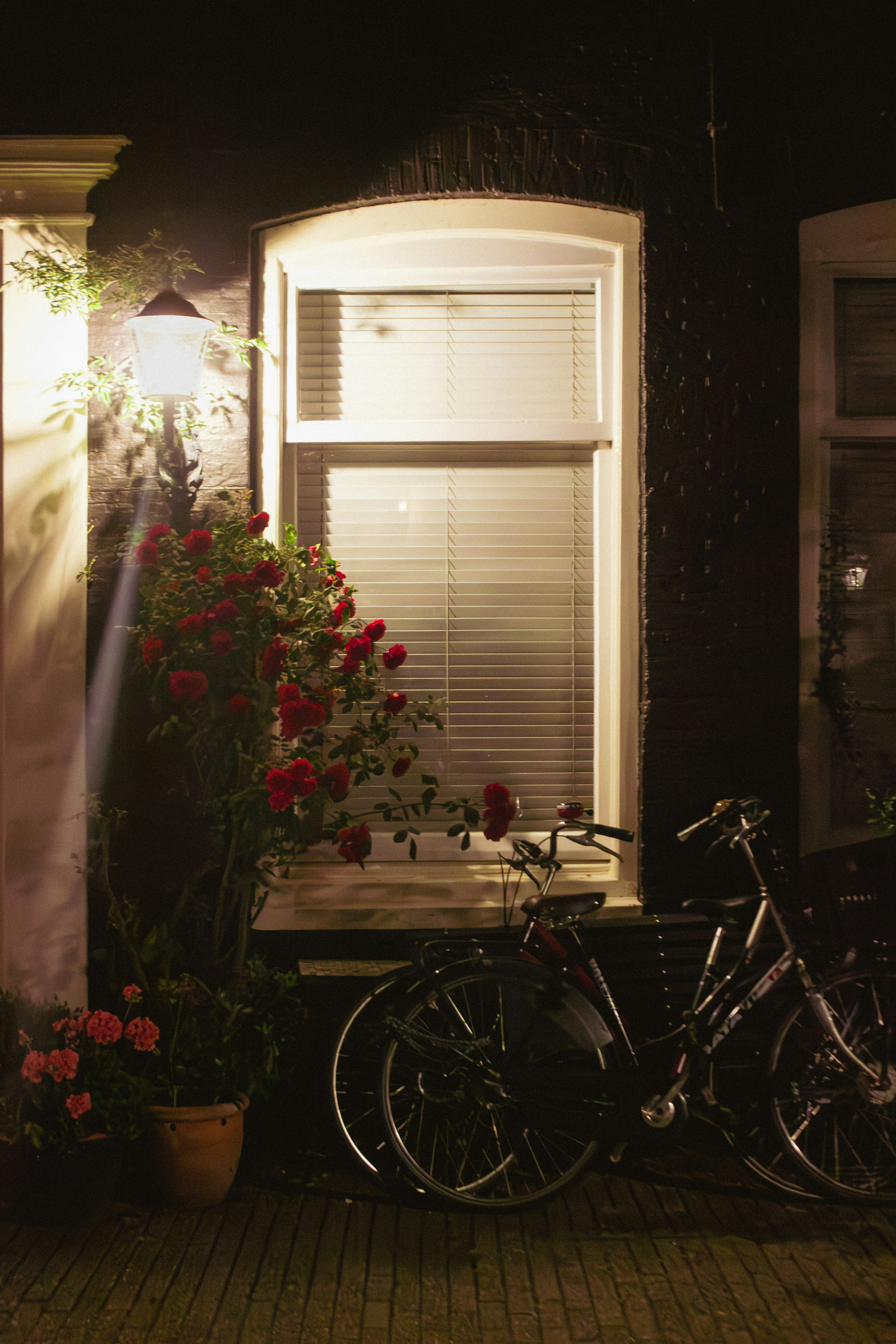 Night Blooms by the Doorstep: A Quiet Street Portrait