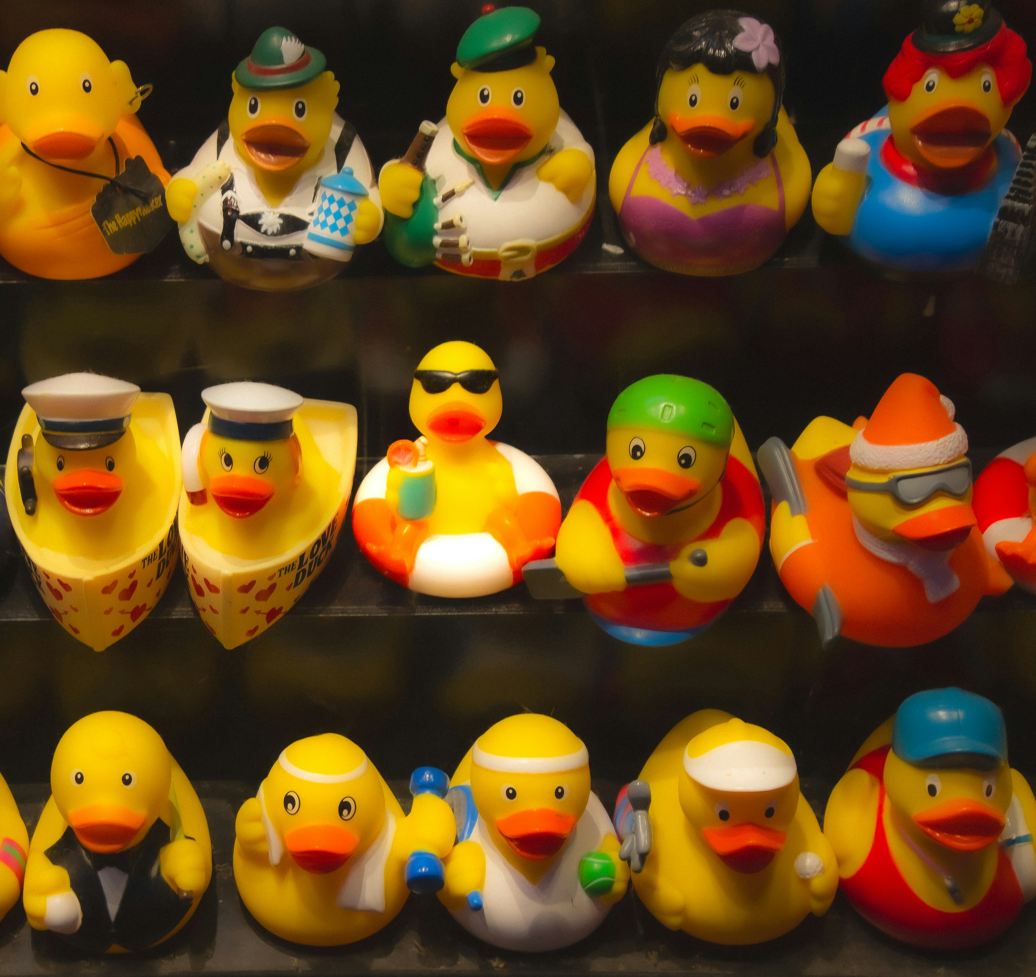 Duck Parade: A Shelf of Colorful Rubber Companions