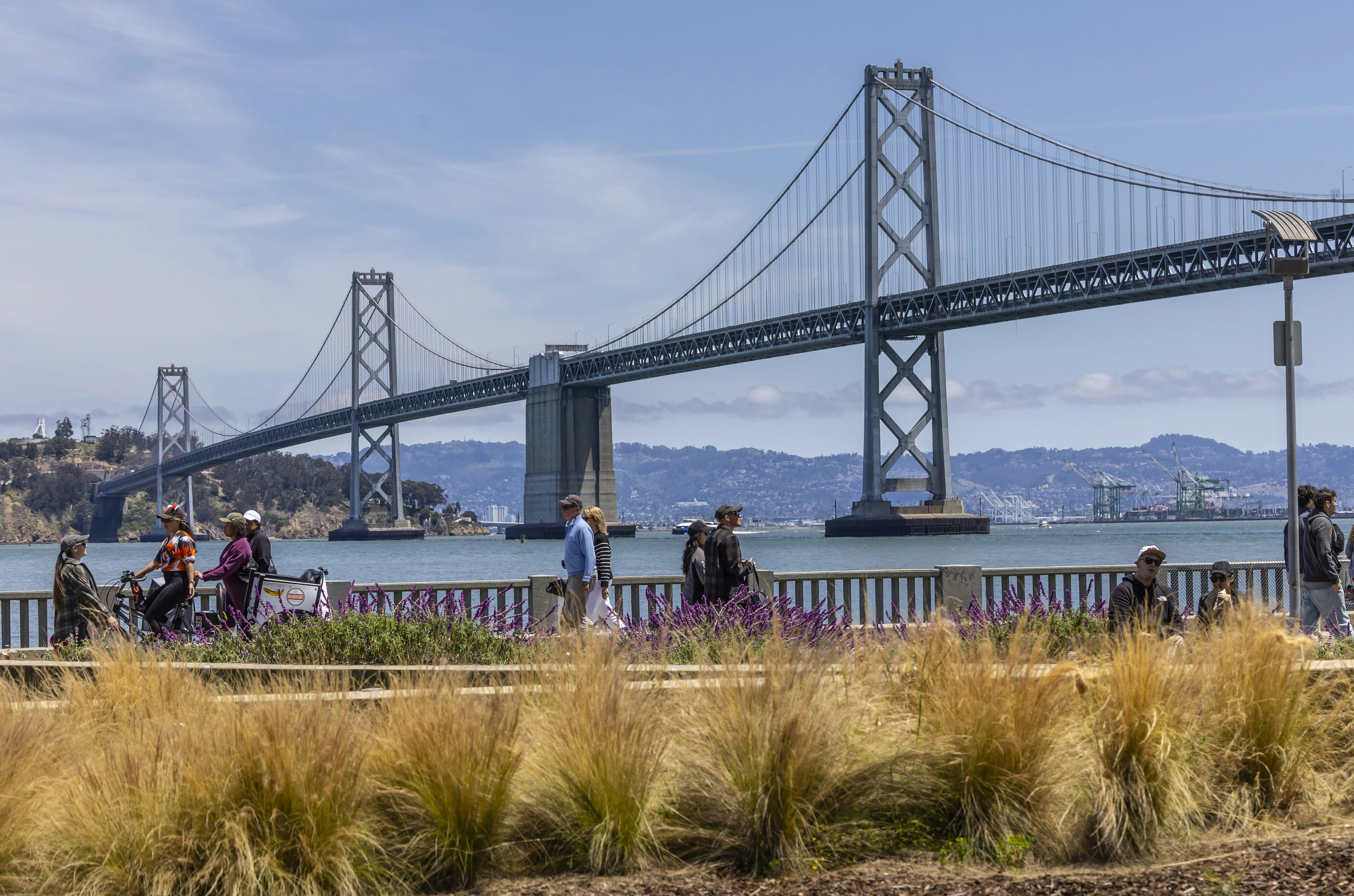 Bridge Appetite for Light: Shoreline Walk with a Framed Span