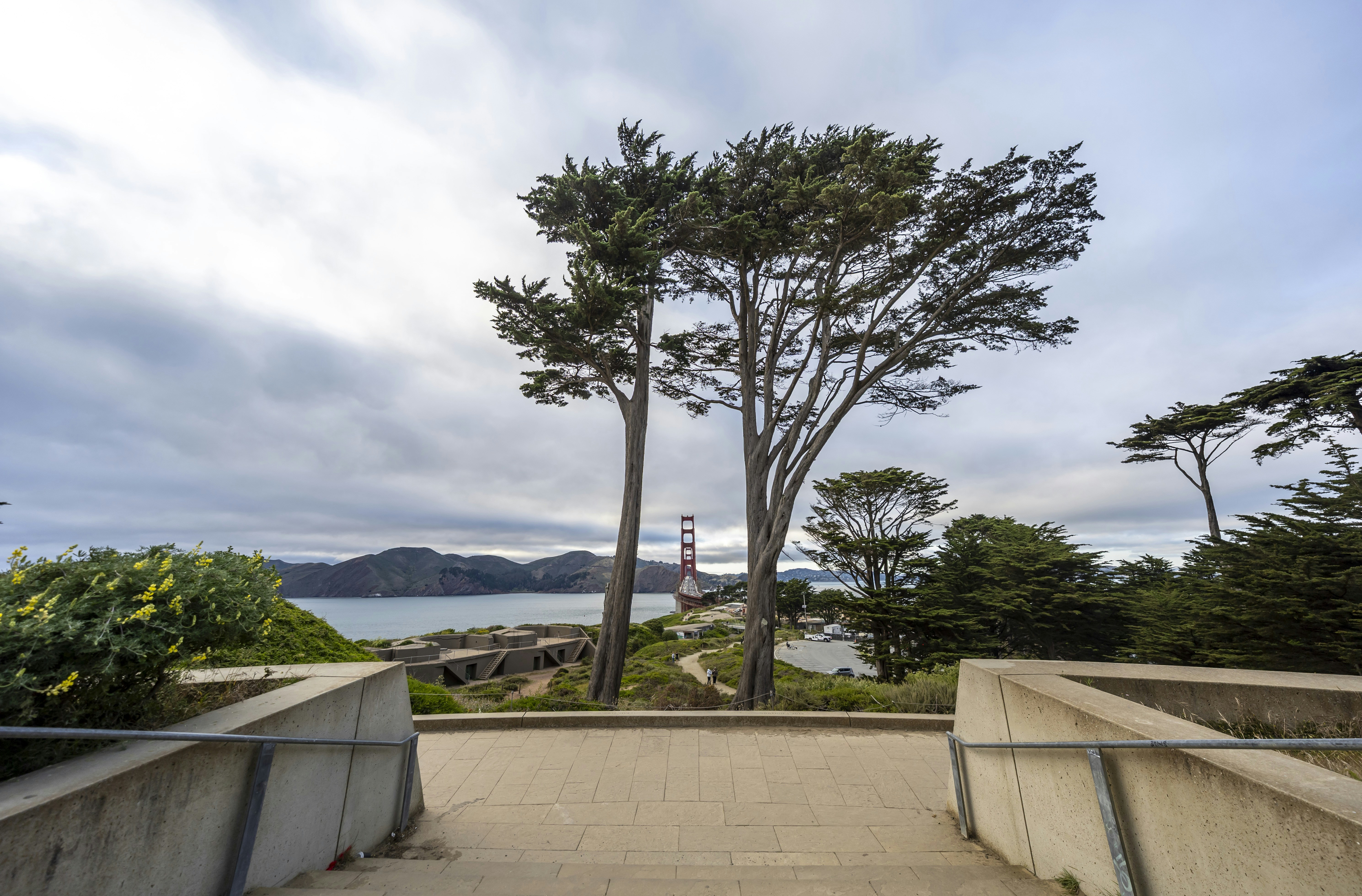 Treetops at the Summit Overlooking the Bay