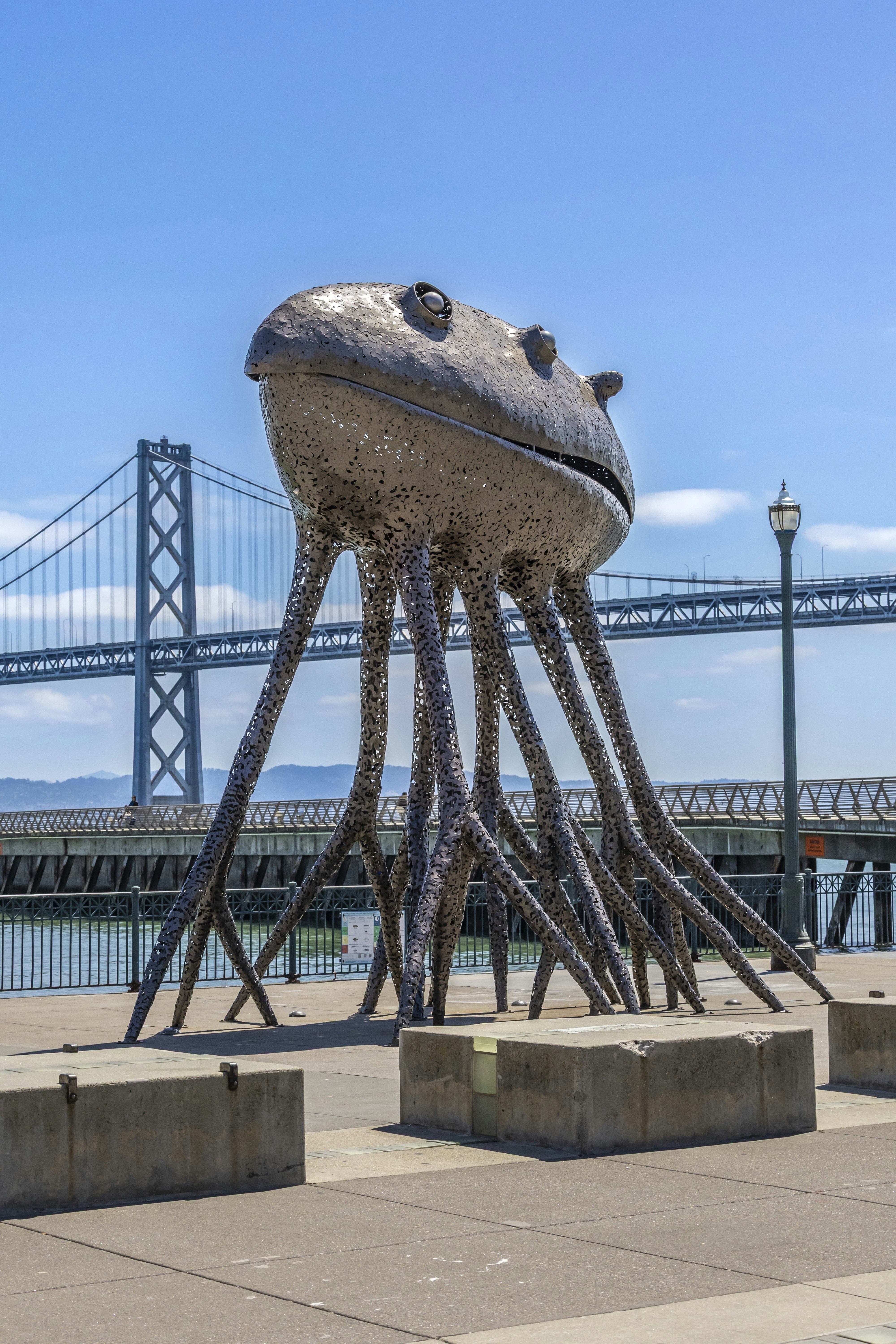 Metallic frog sculpture with bay bridge in sunny san francisco.
