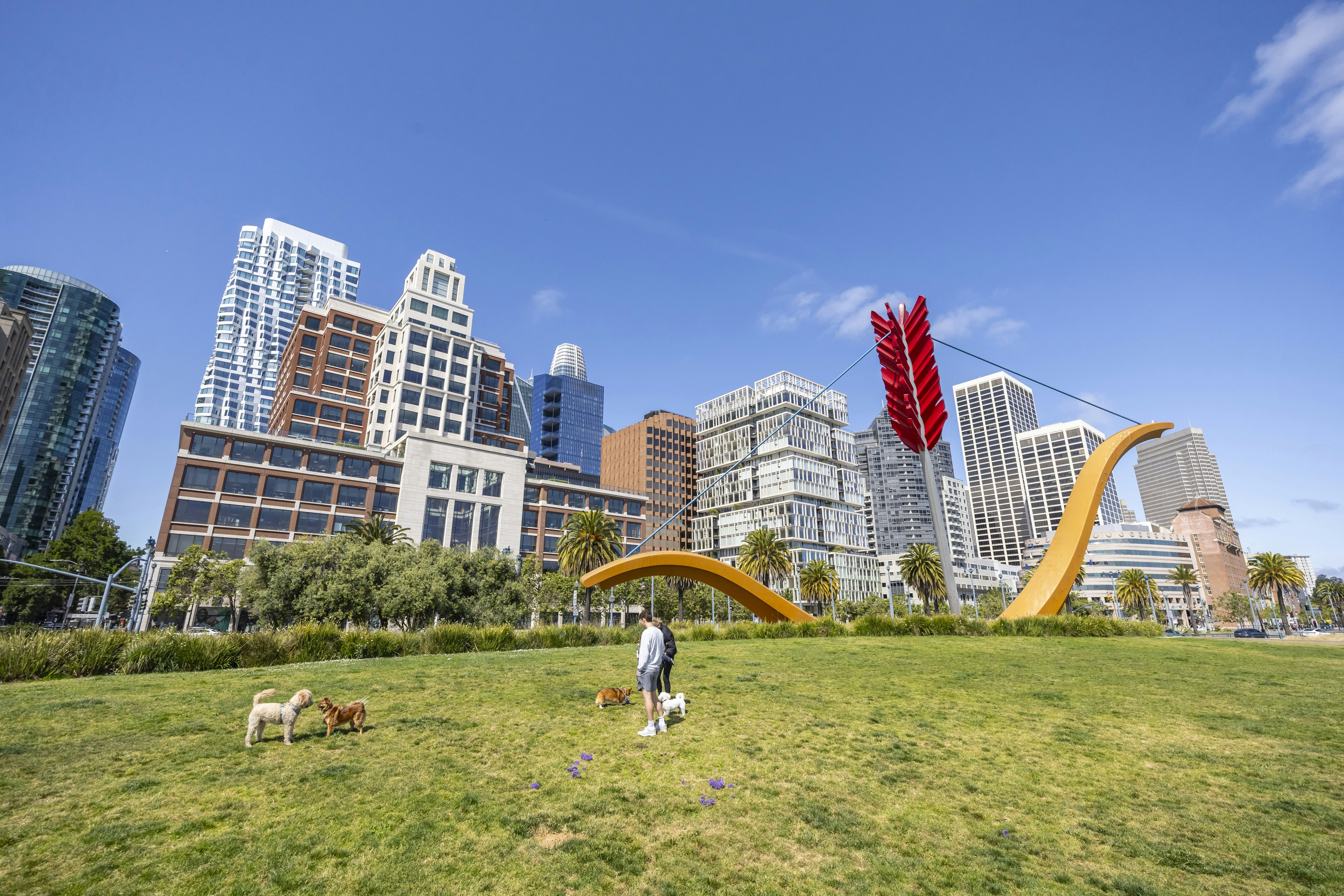 Person walking dogs in a park with cityscape and art.