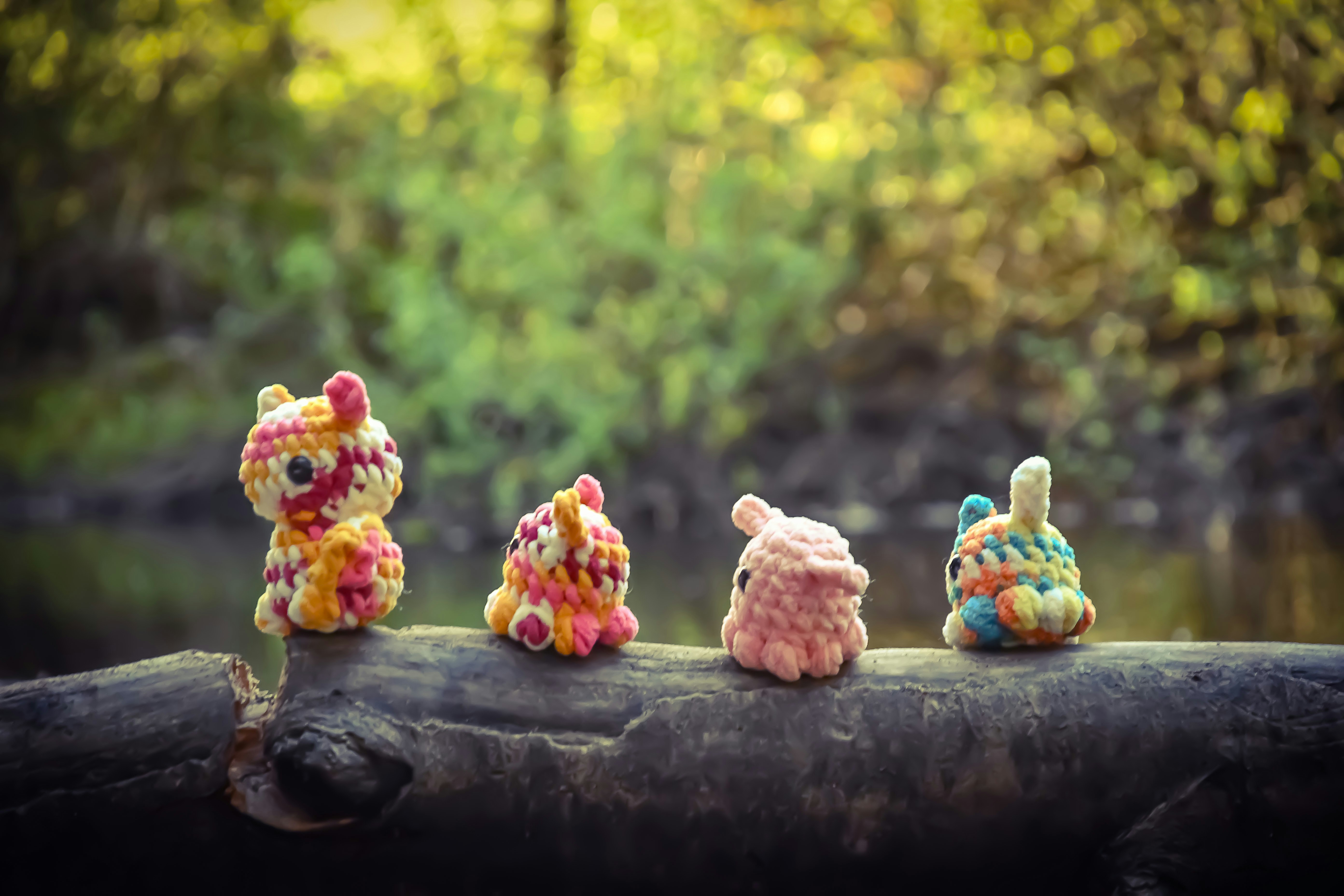 Tiny Yarn Animals Guard the Log at Golden Hour
