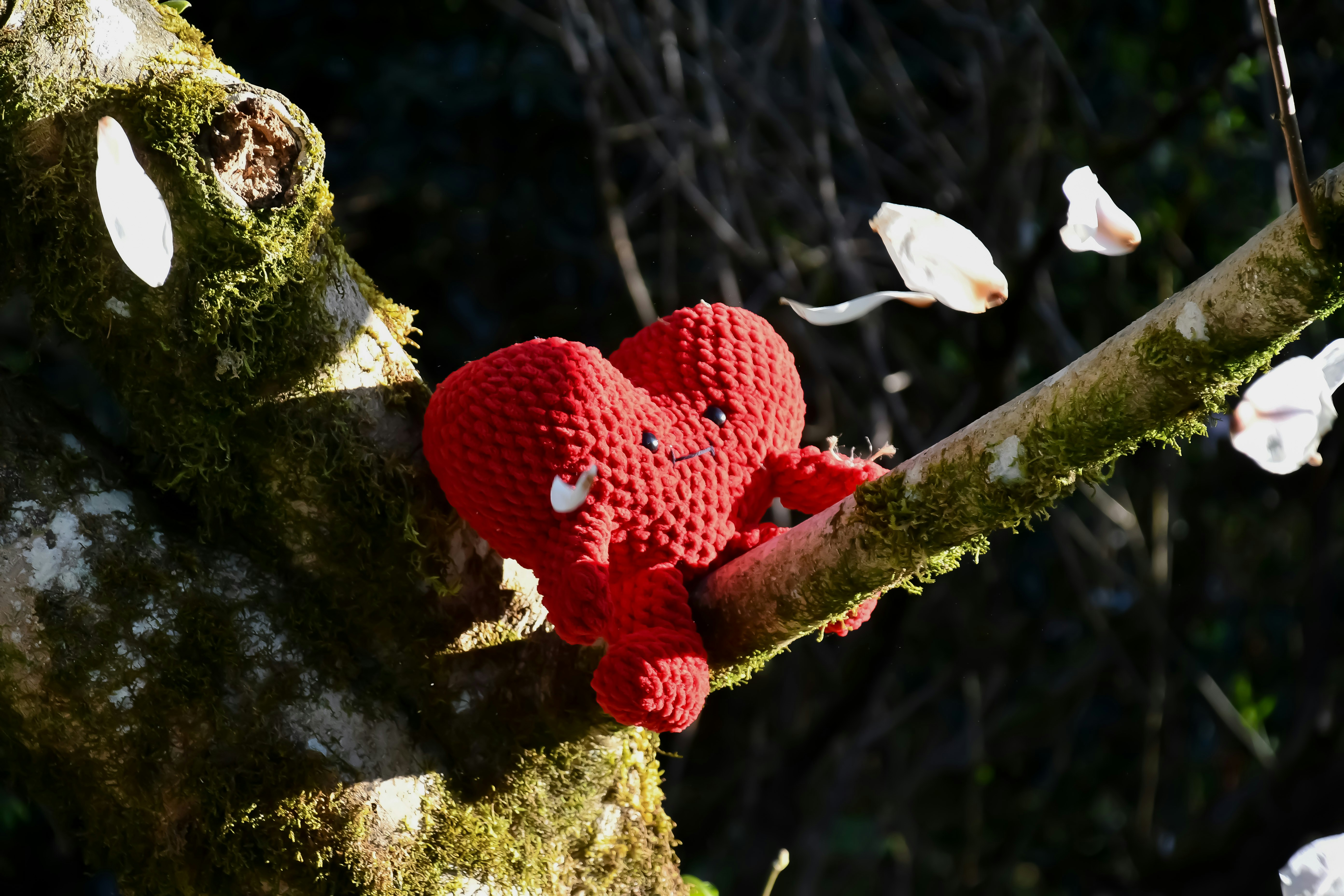 Red Heart on a Mossy Branch: Plush Toy in Sunlit Forest