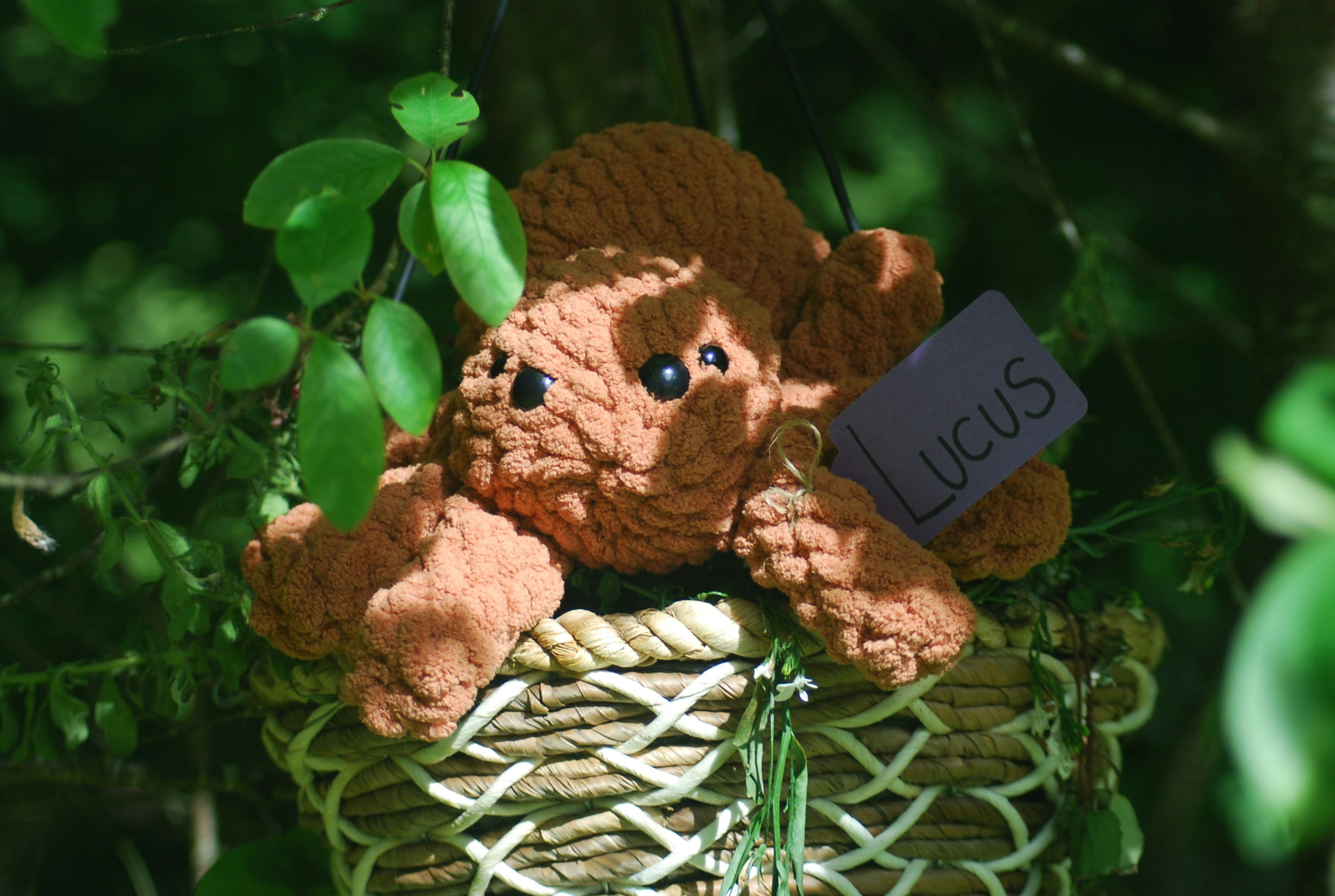 Lichee-eyed Plush on a Basket of Ferns