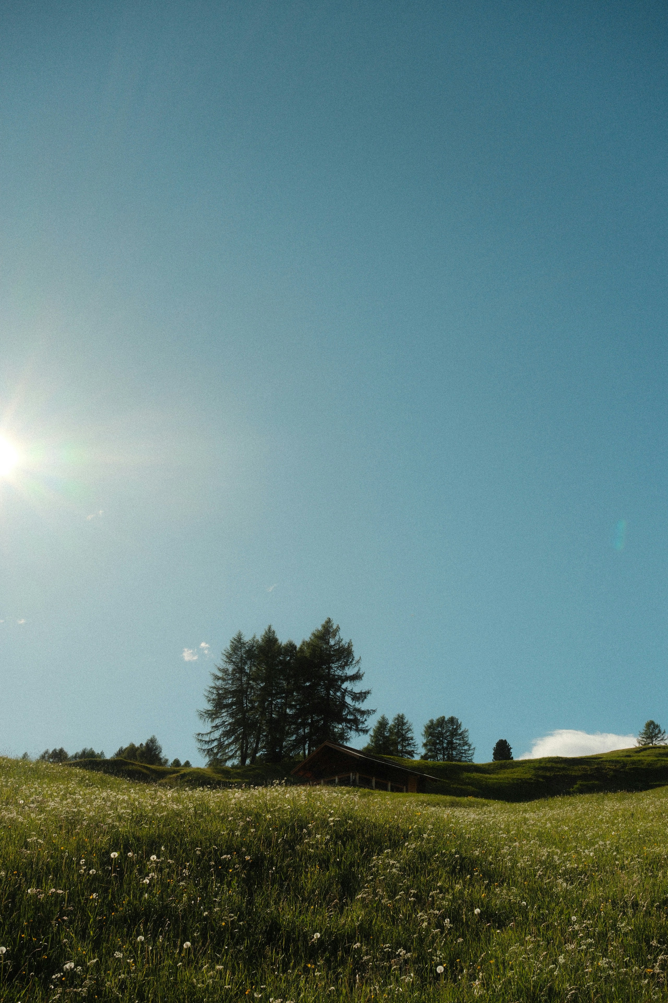 Sunlit Meadow with Silhouette of a Cabin and Trees