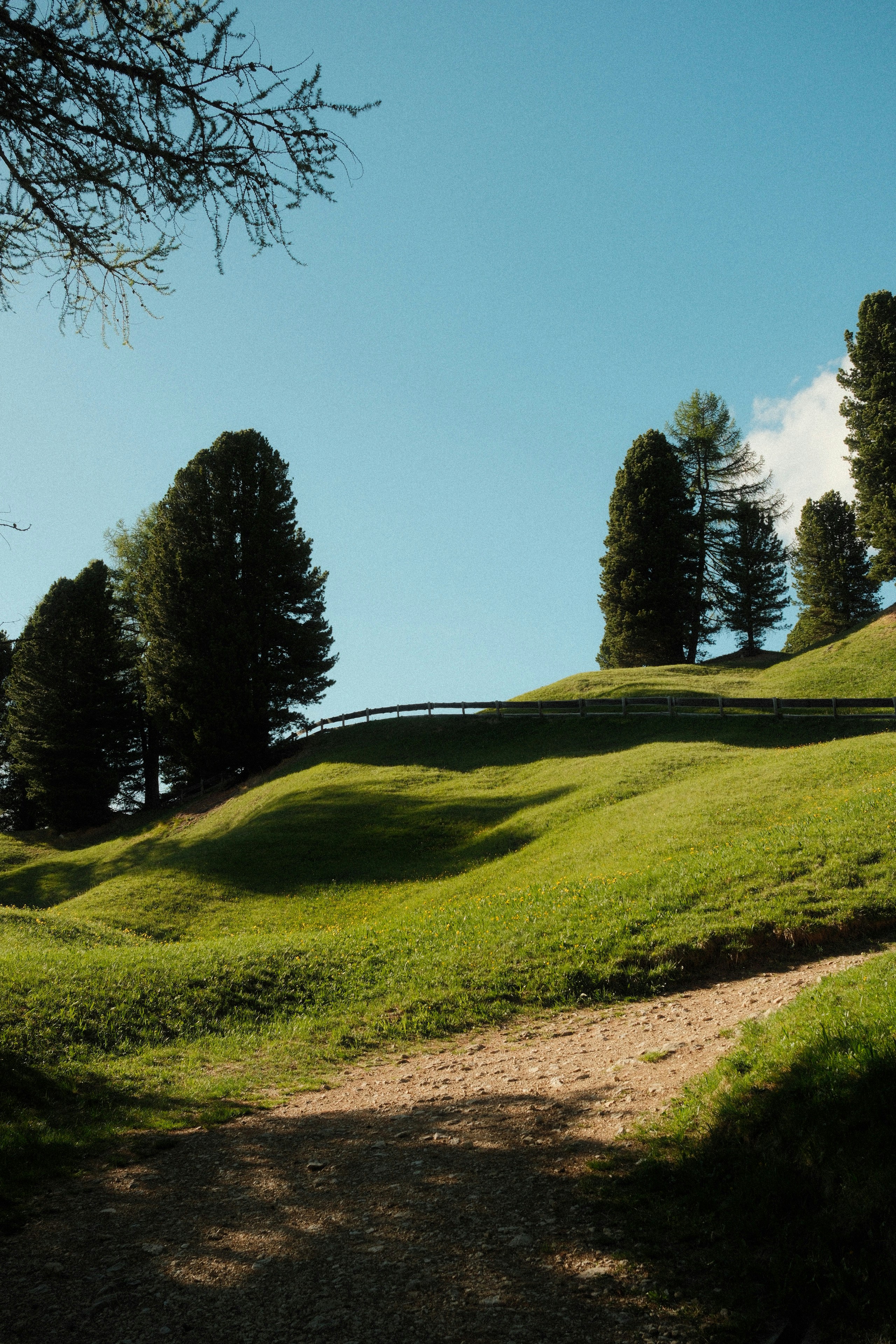Rolling Green Pathway Under a Clear Blue Sky