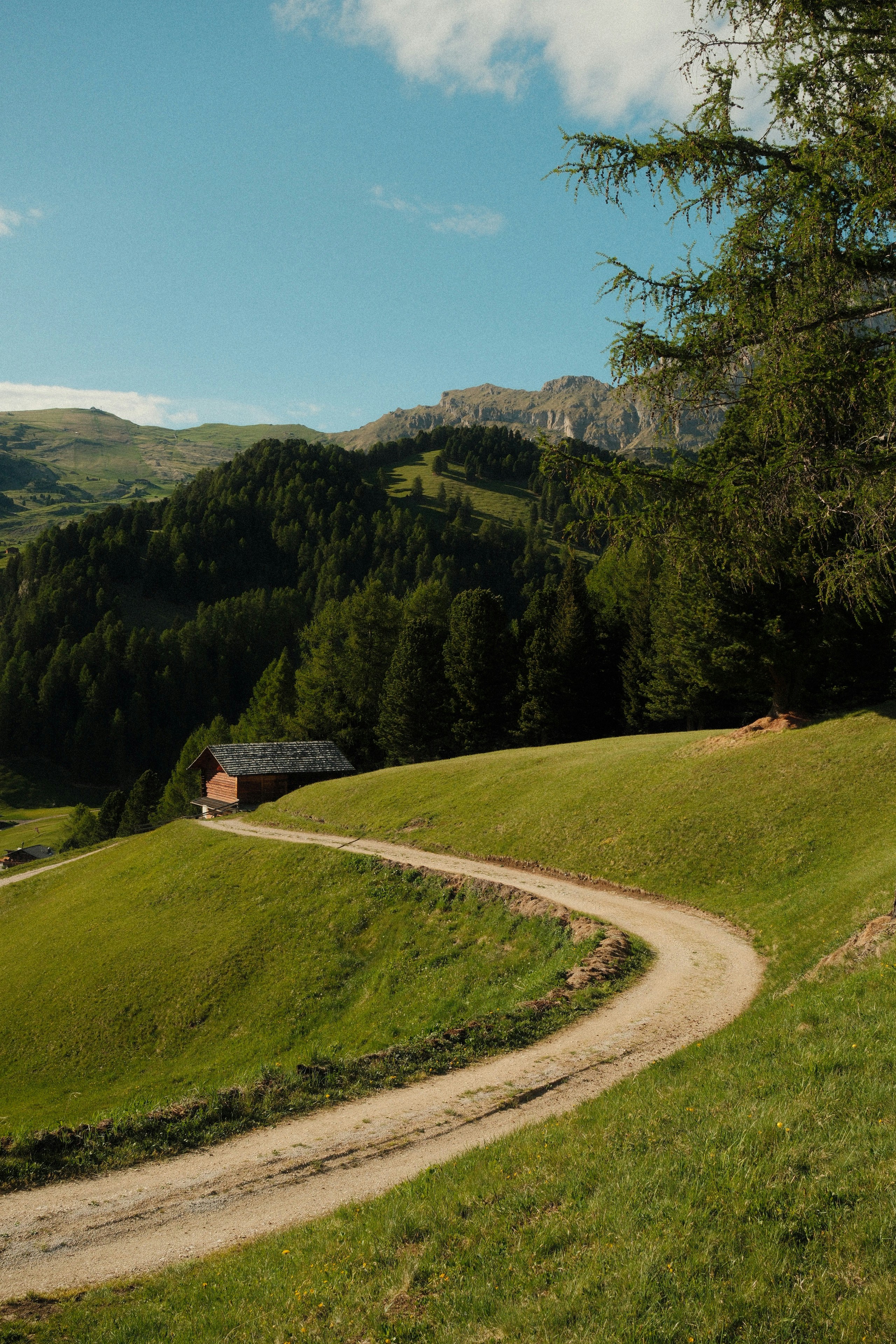 Winding Alpine Path to a Quiet Cabin