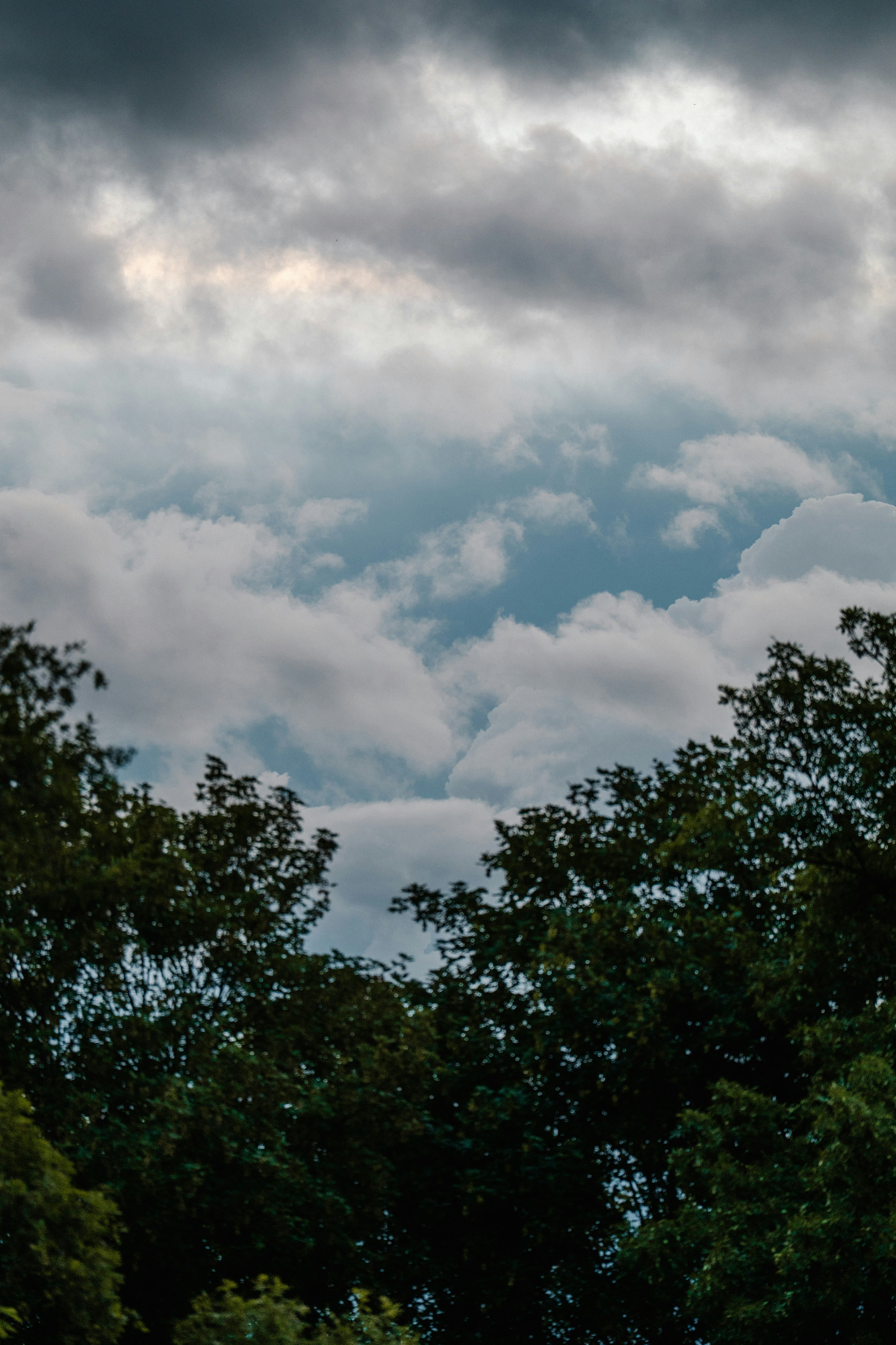 Dark clouds above green treetops with lighter sky visible.
