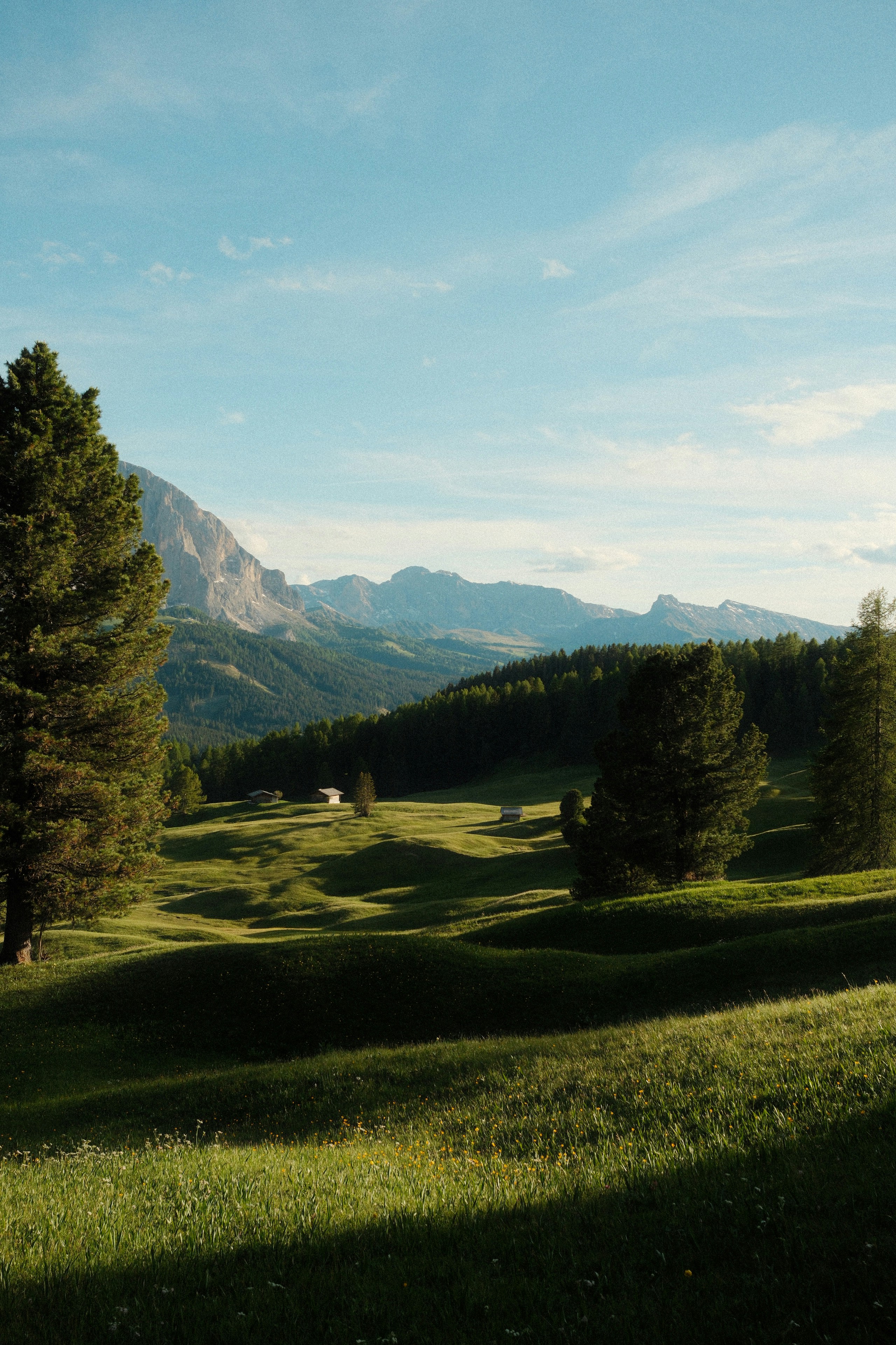 Sunlit alpine meadow with rolling greens, scattered pines, and distant mountains under a bright blue sky.