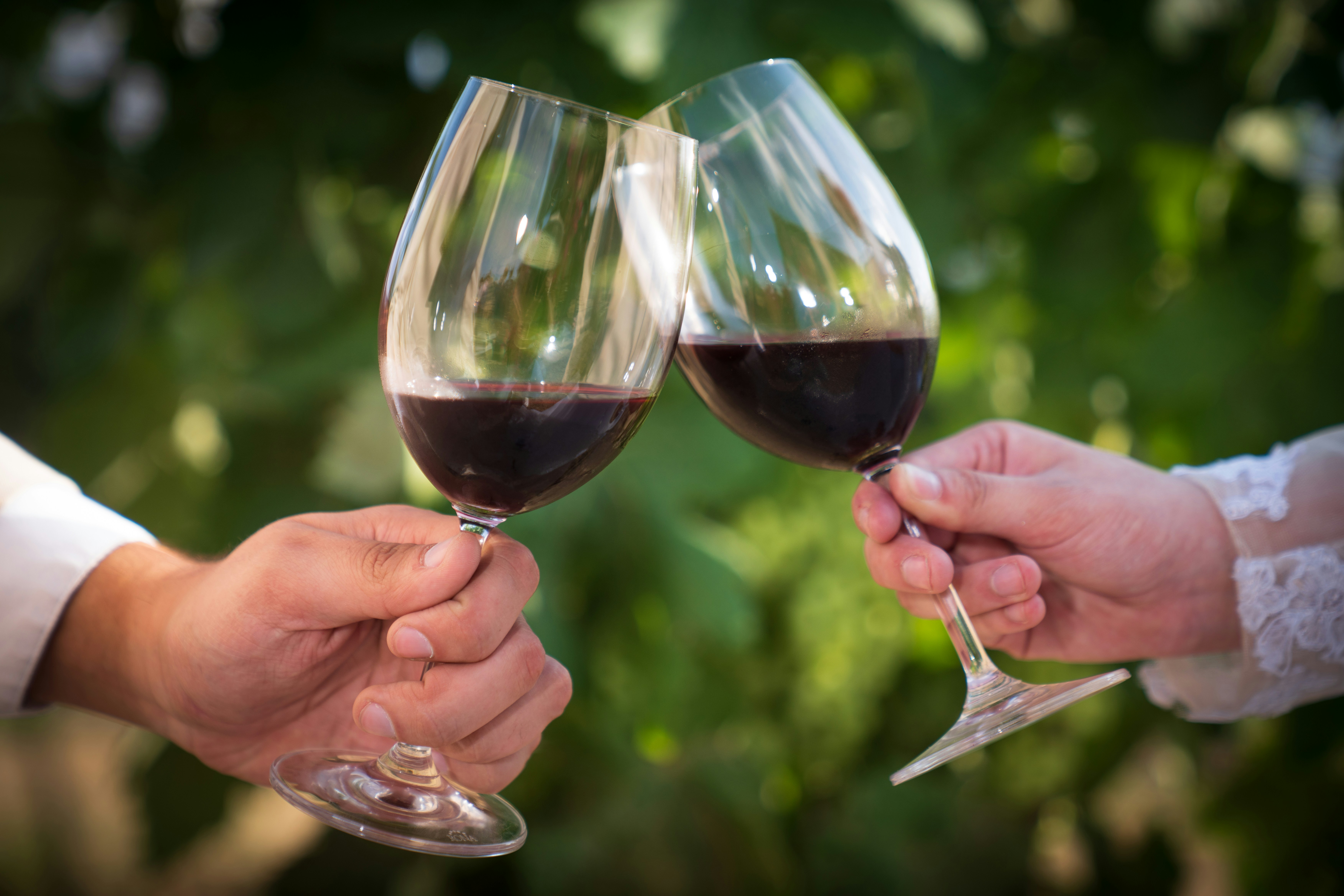 Cheers in Focus: Toasting Glasses in a Sunlit Garden