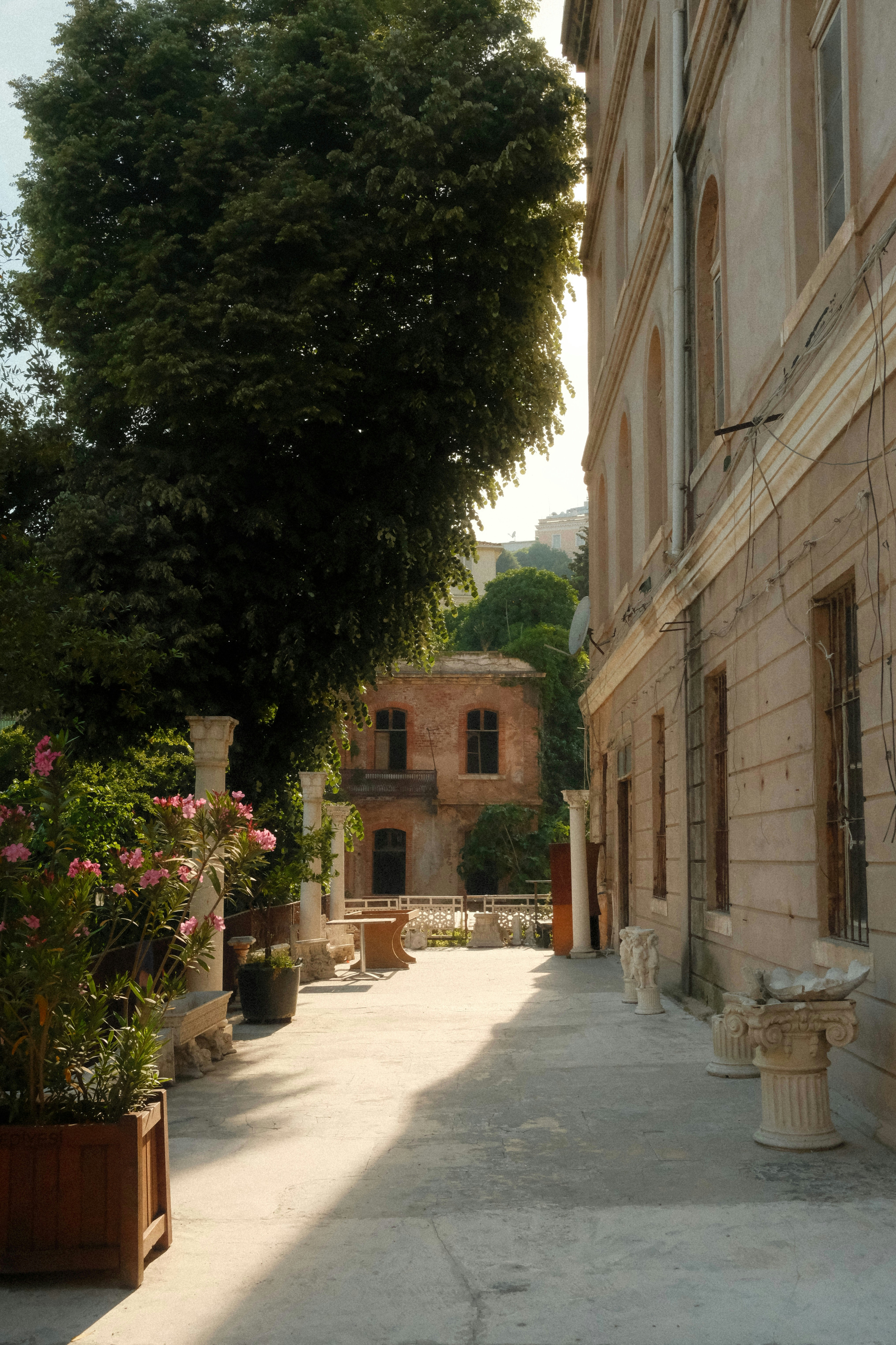 A sunlit pathway between old buildings with trees and flowers.