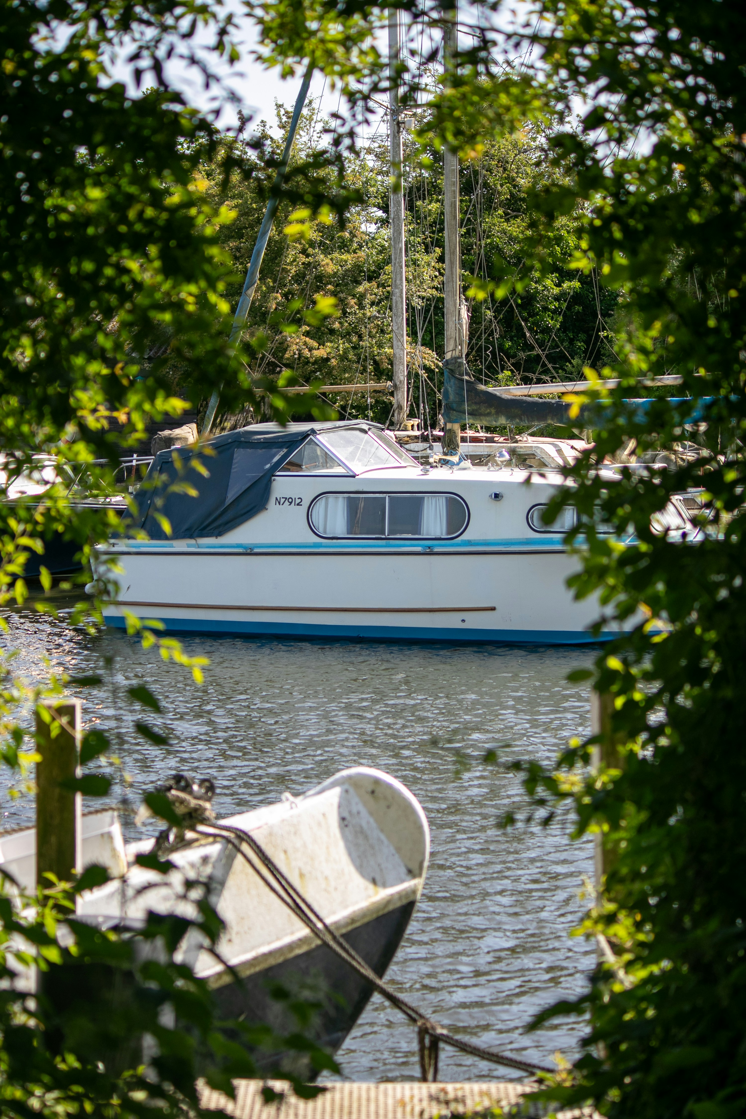 Between Boats and Branches: A Quiet Marina Moment