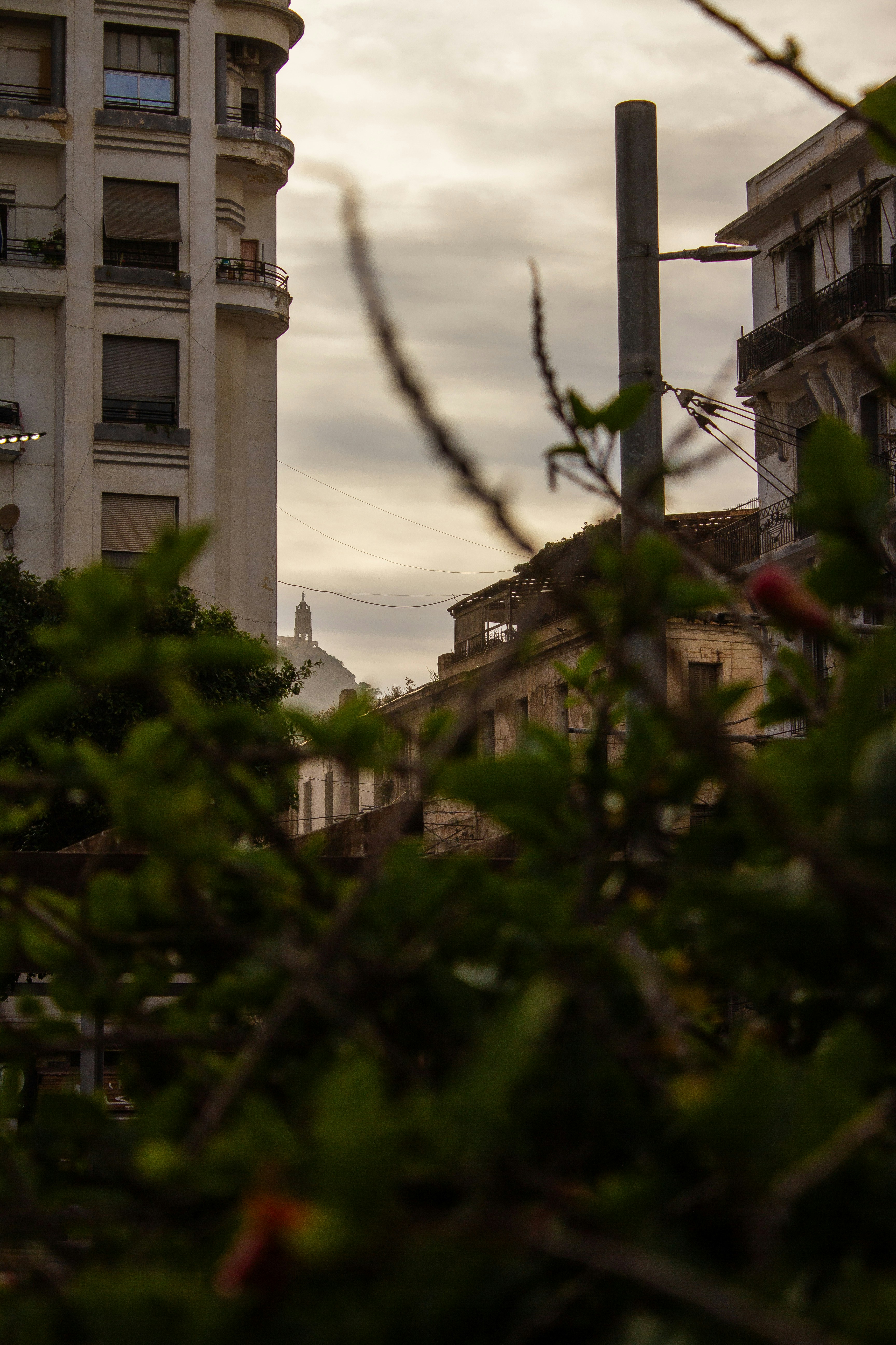 Mid-City Silence: A Rooftop Fray Framed by Foliage