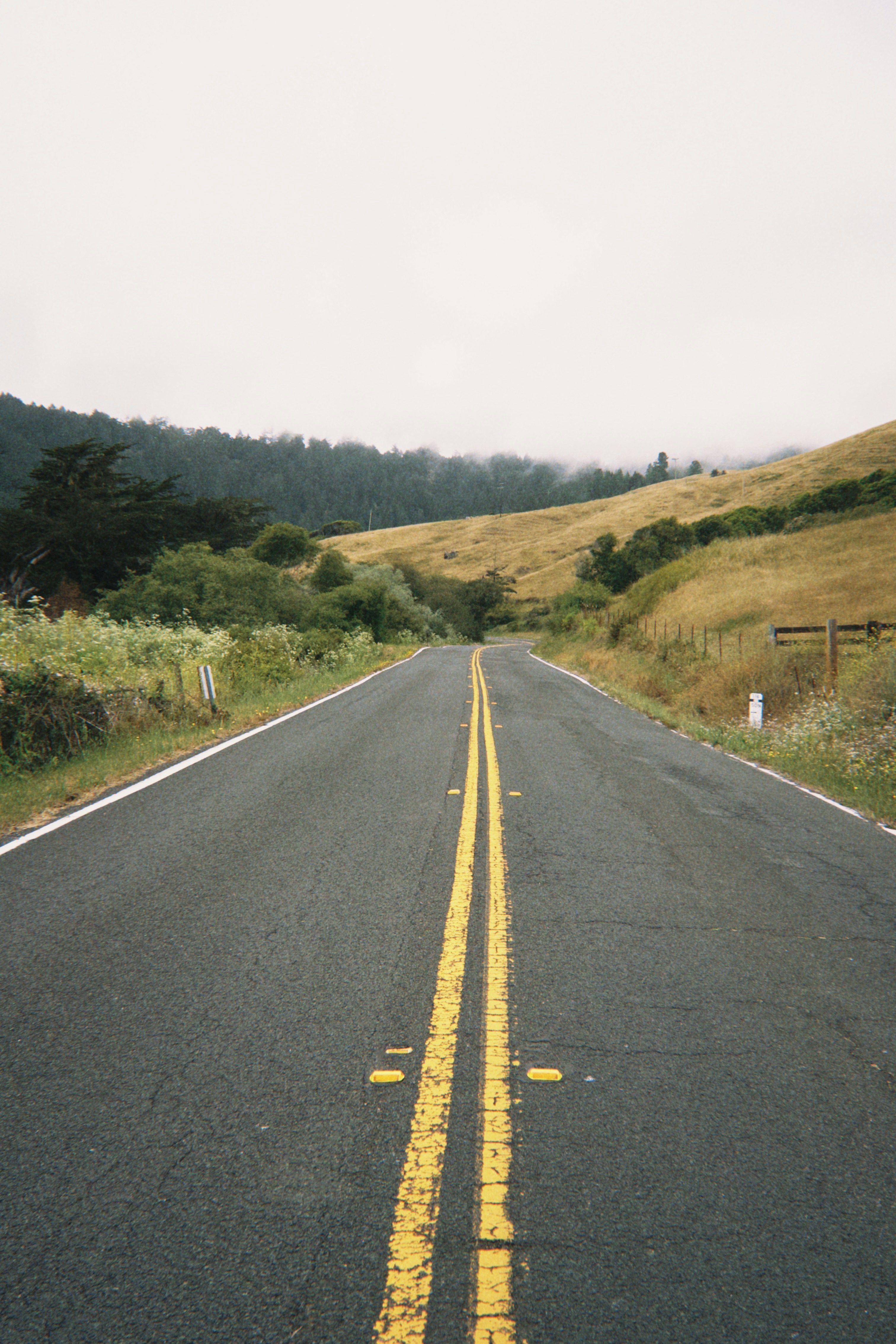Long Road Through Golden Hills