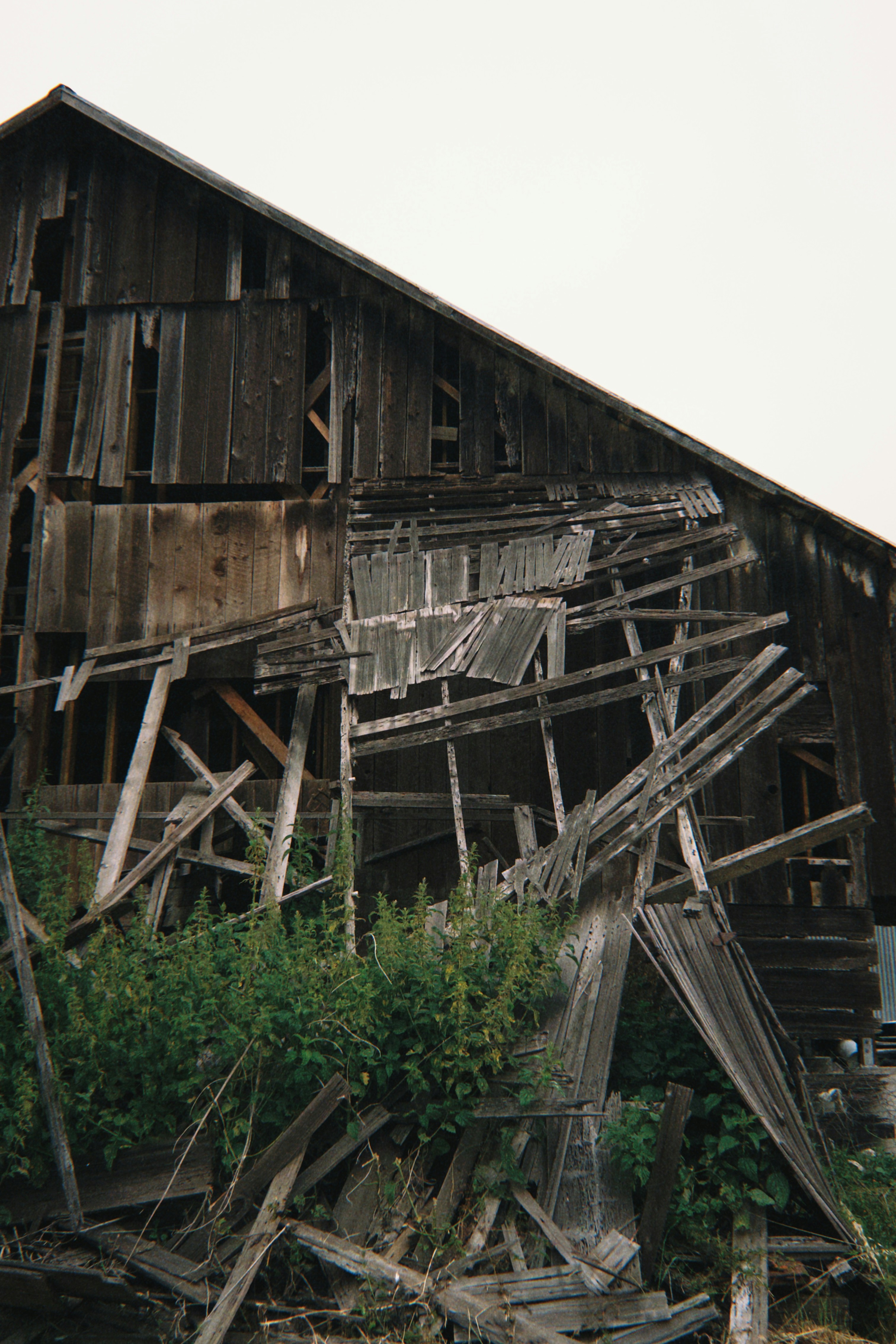 A decaying wooden barn with collapsed walls and overgrown plants.