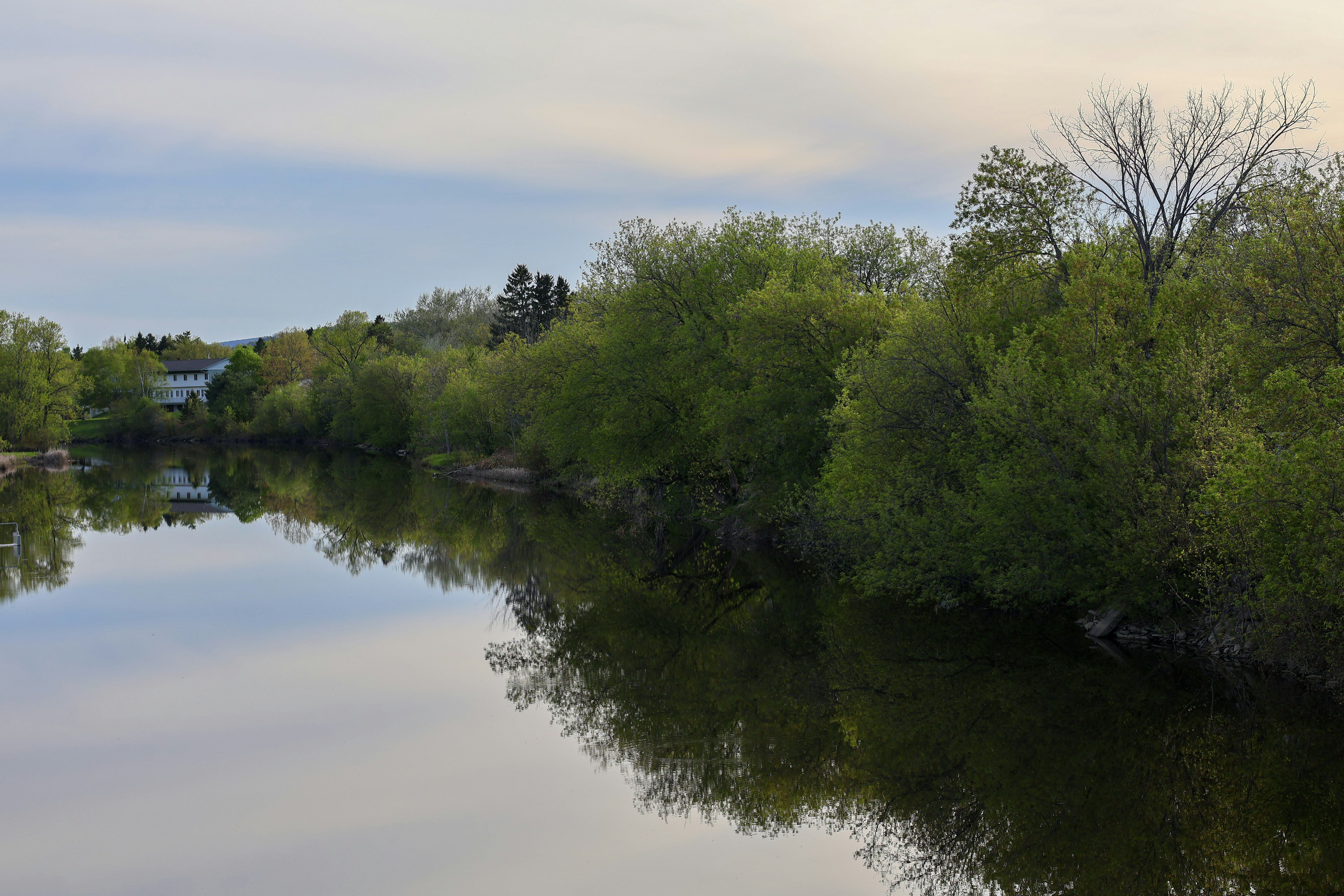 Still Waters, Quiet Banks: Reflections of a Green River
