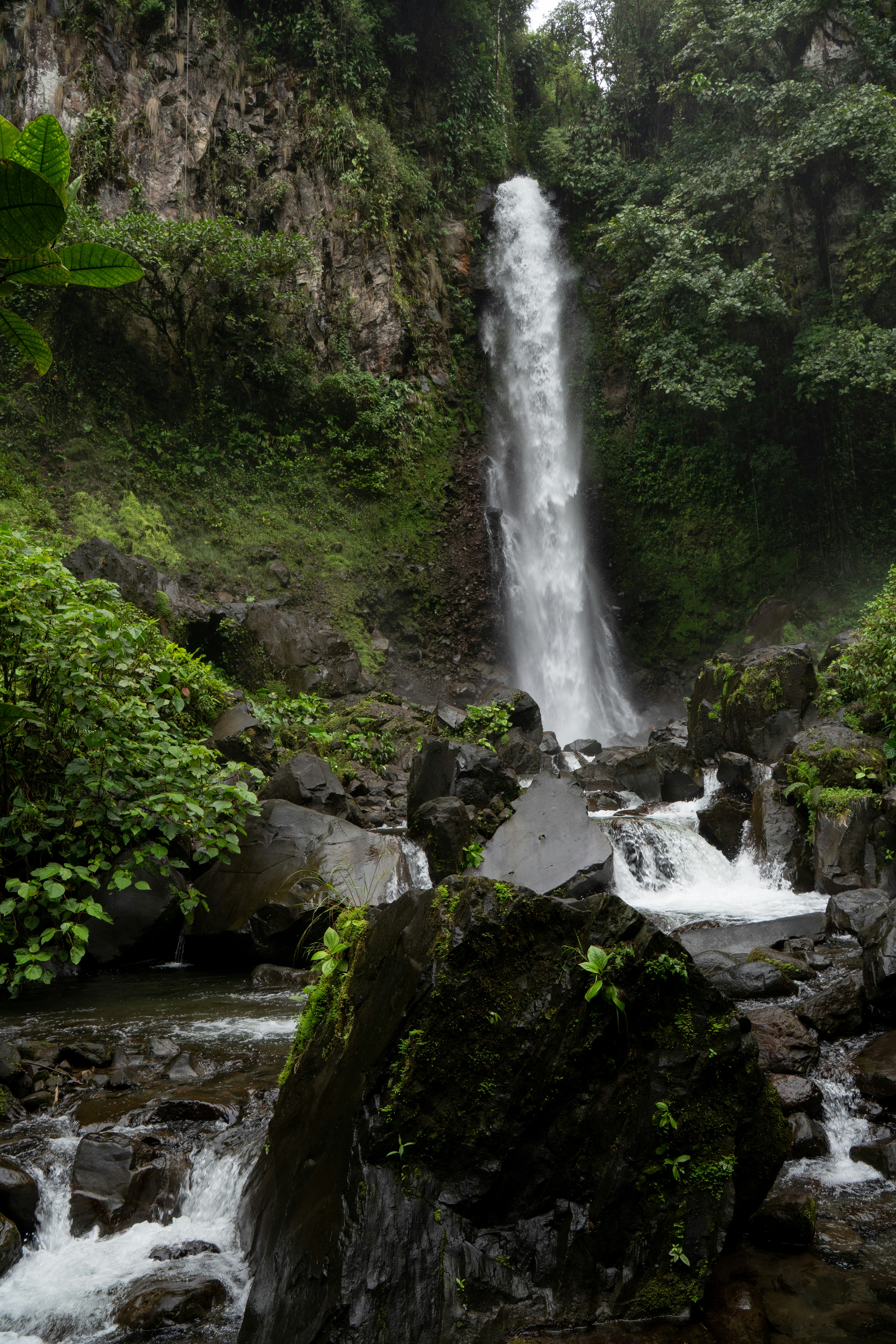Emerald Gorge Falls: A Narrow Plunge Through Mossy Rocks