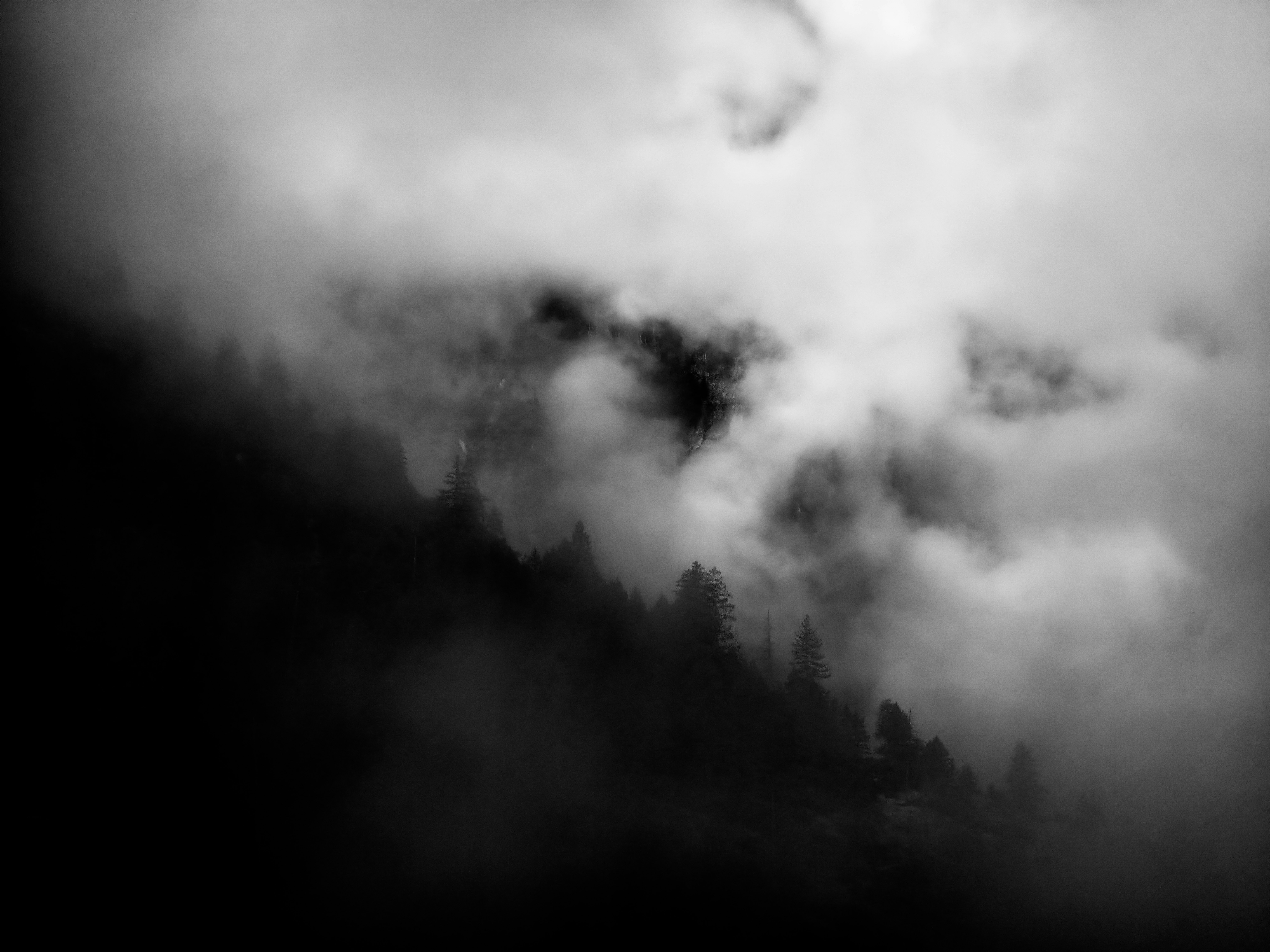 Mistbound Peaks: A Foreboding Silhouette Through Veiled Pines