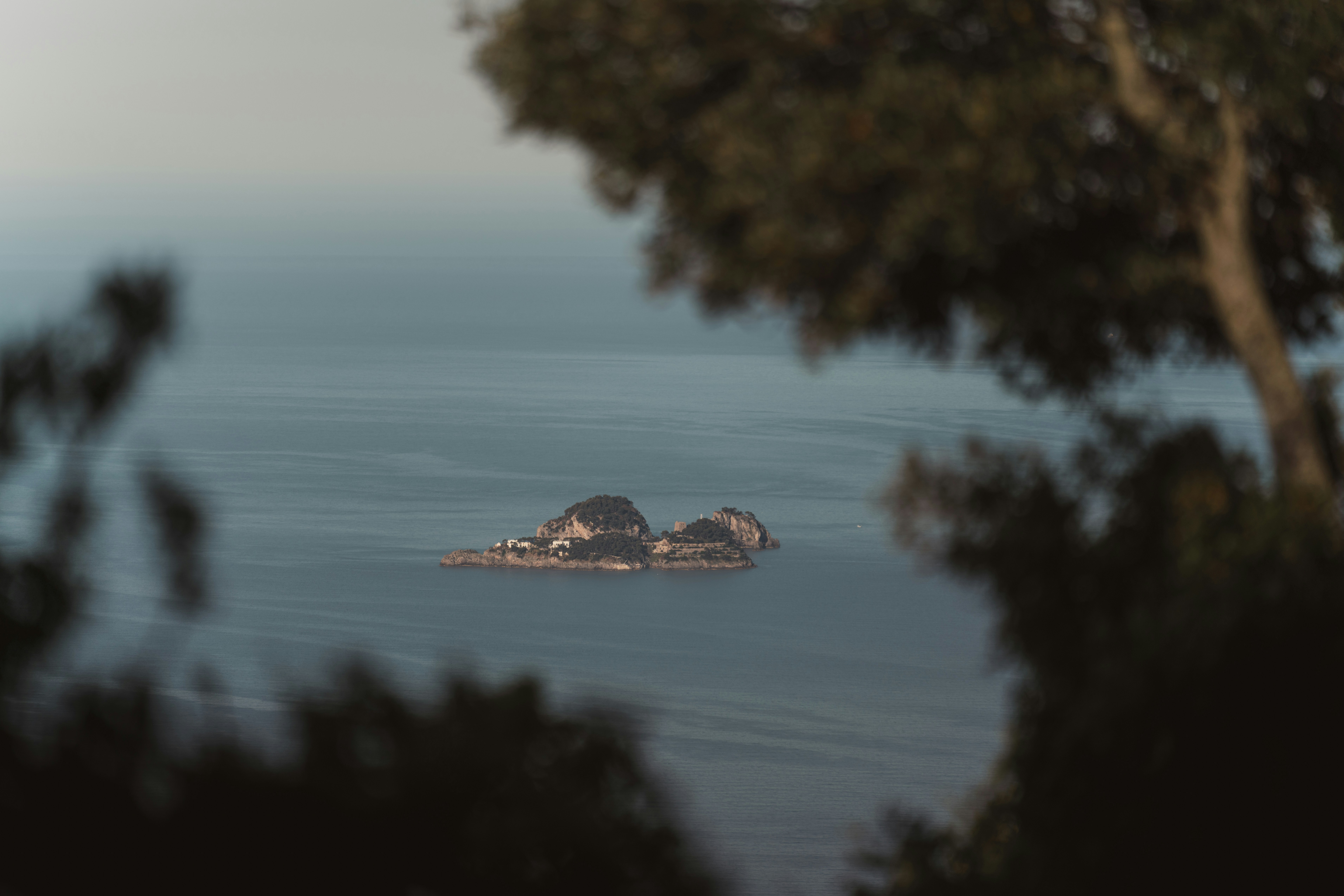 Isolated Isle Beyond a Woven Frame of Pines