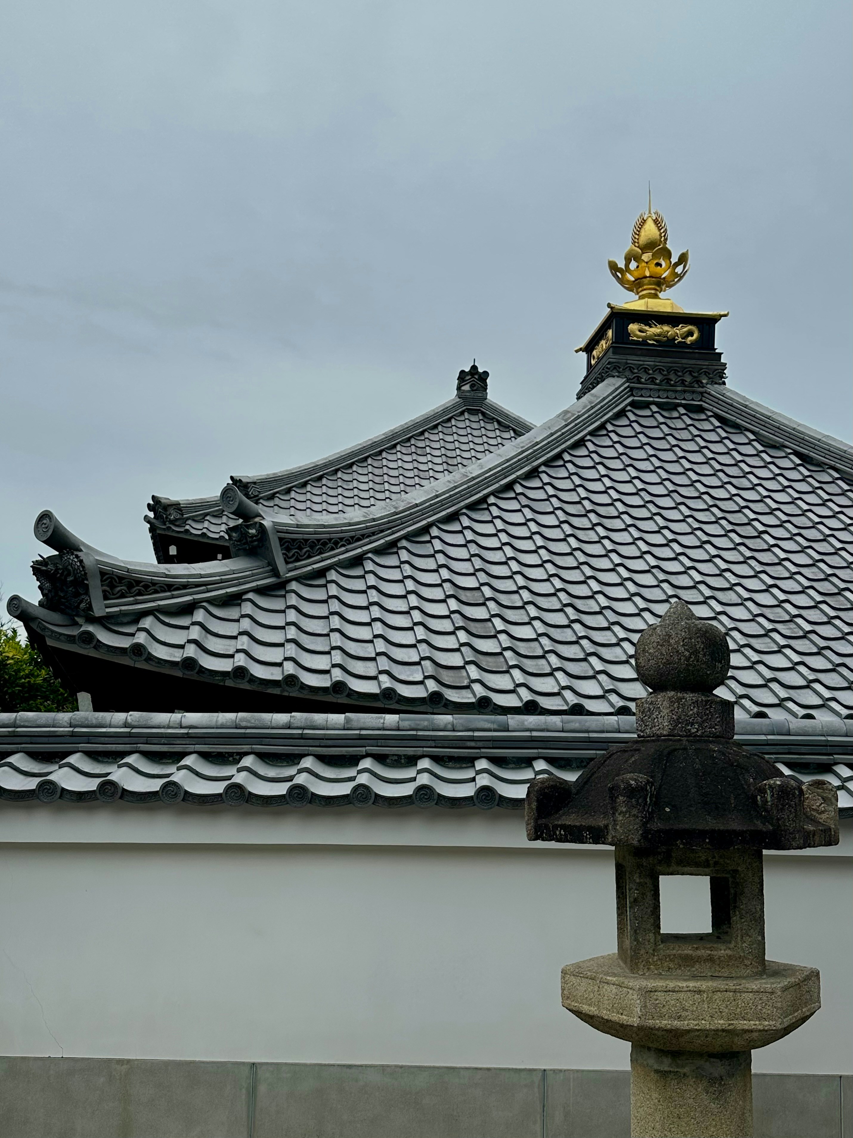 Temple Roof Lines beneath a Dull Sky