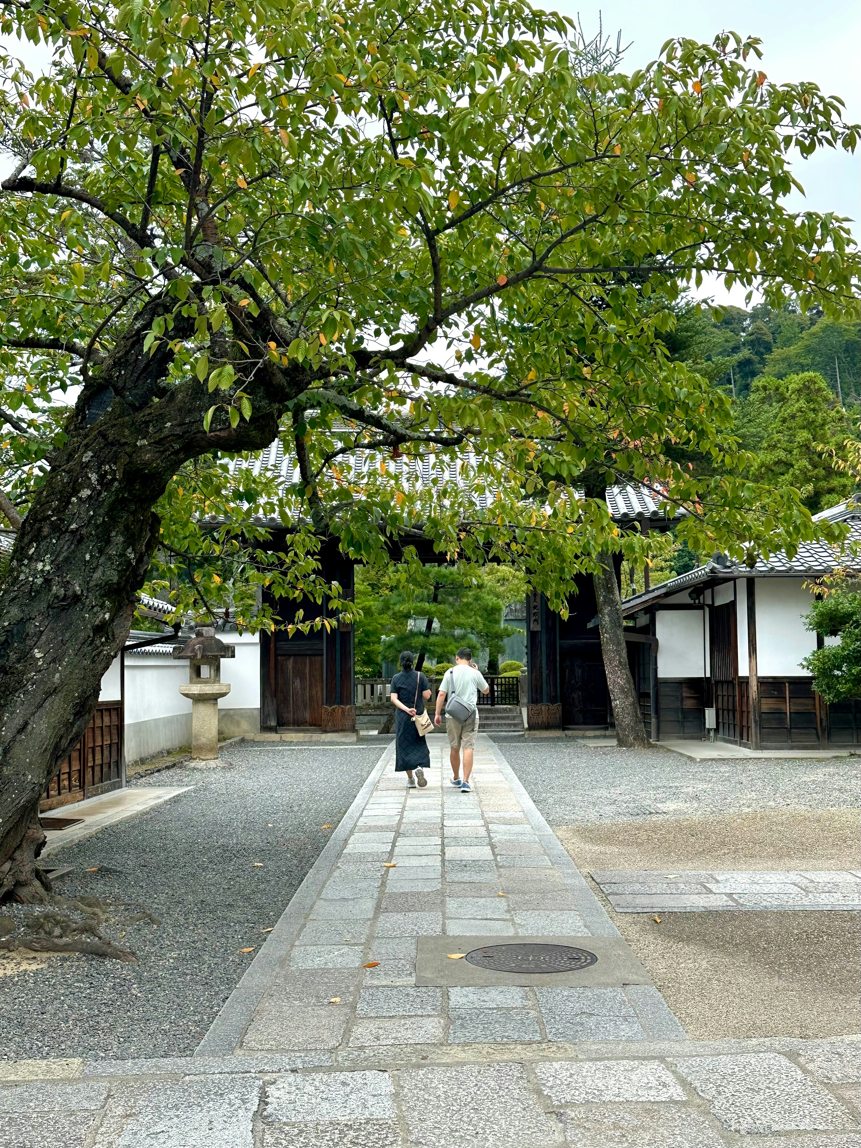 A Shaded Walk Through a Tranquil Temple Path